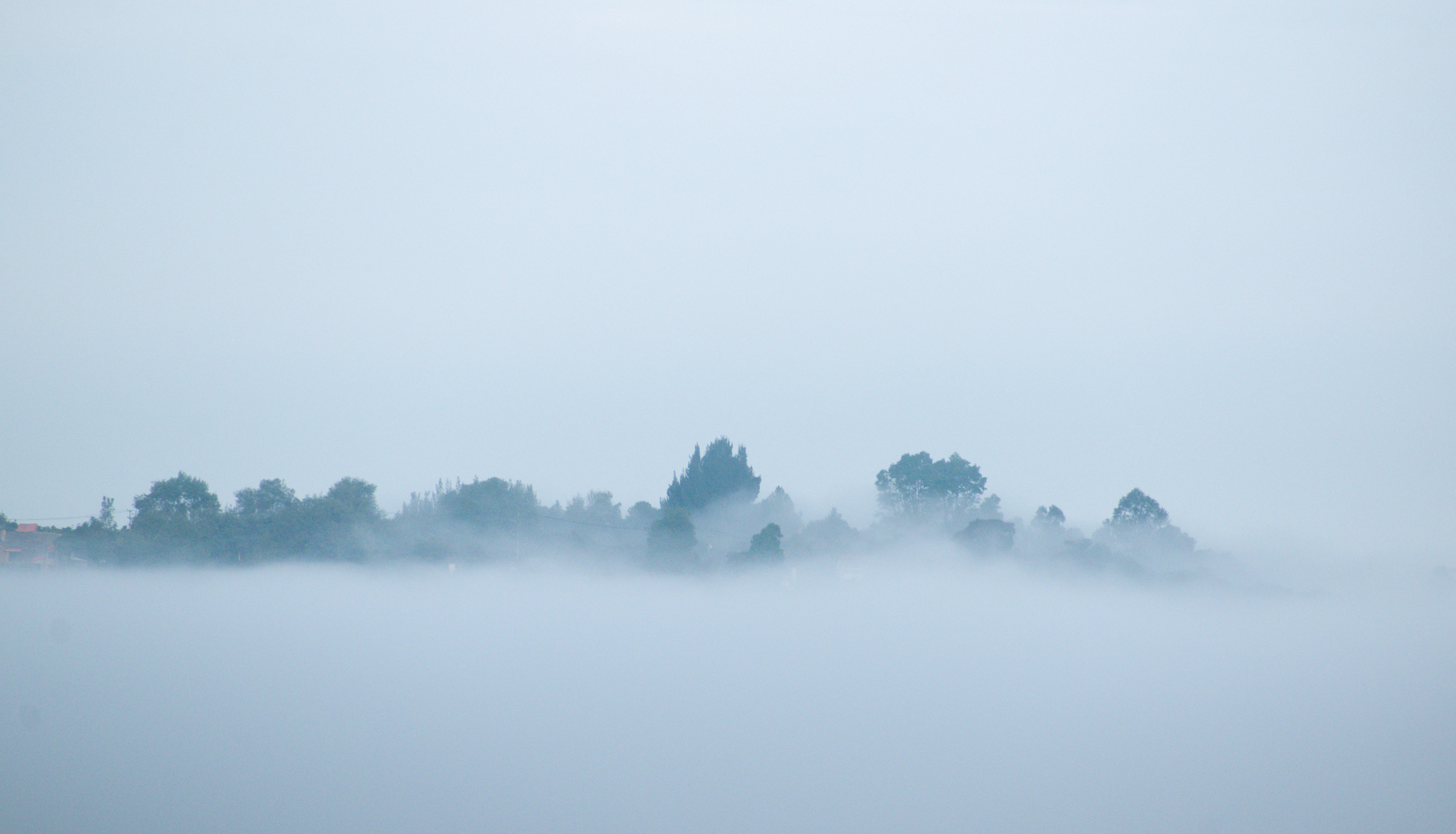 Photo by Sebastian Laverde with Nikon D3500