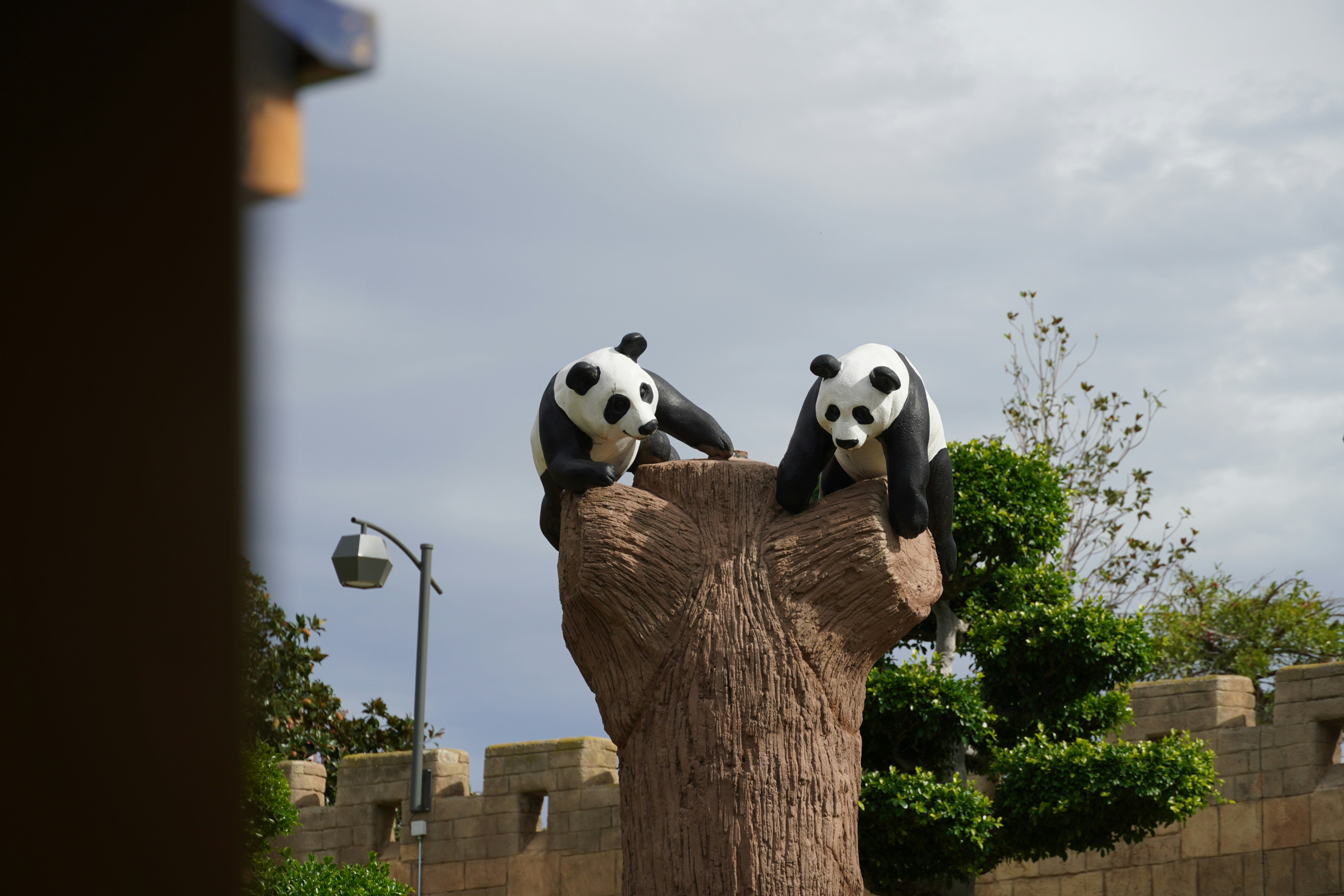 Scott Macinnes (@scottyboy2021) | Unsplash Photo Community