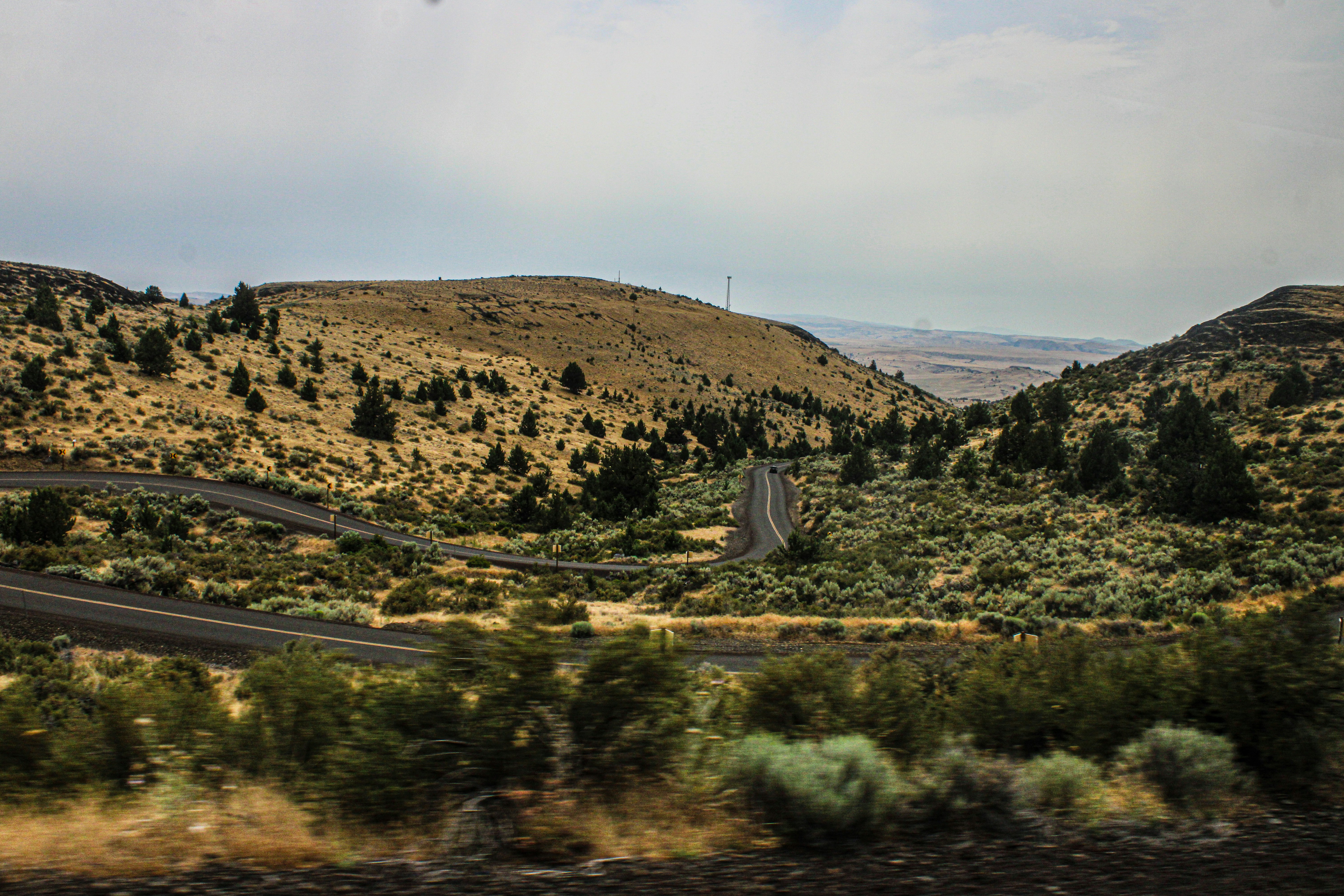 Winding Desert Highway Through Rolling Scrubland