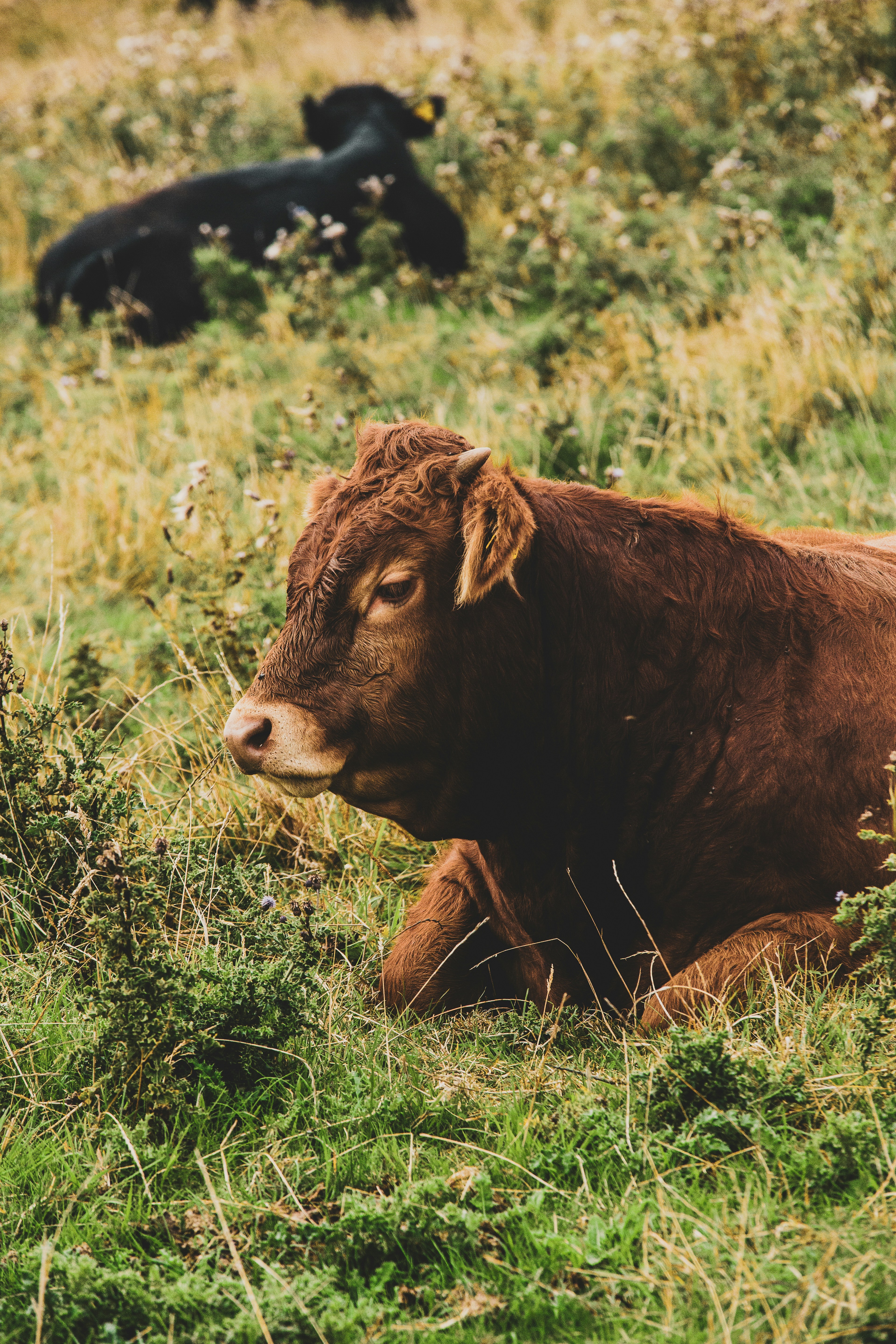 Photo by Luke Greenwood with Canon EOS 5D Mark III