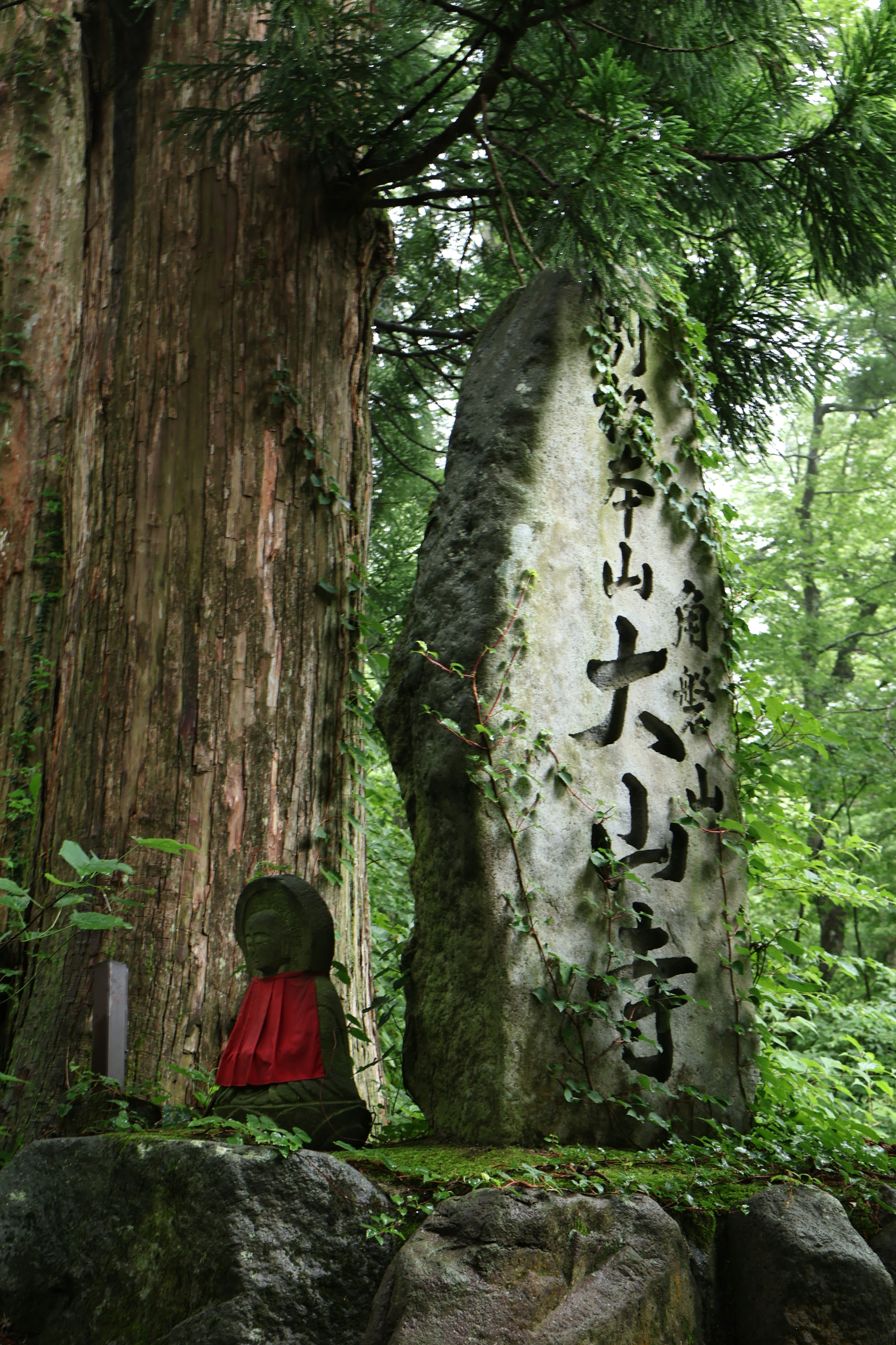 Stone Script by the Forest Shrine: A Quiet Monolith Among Giants