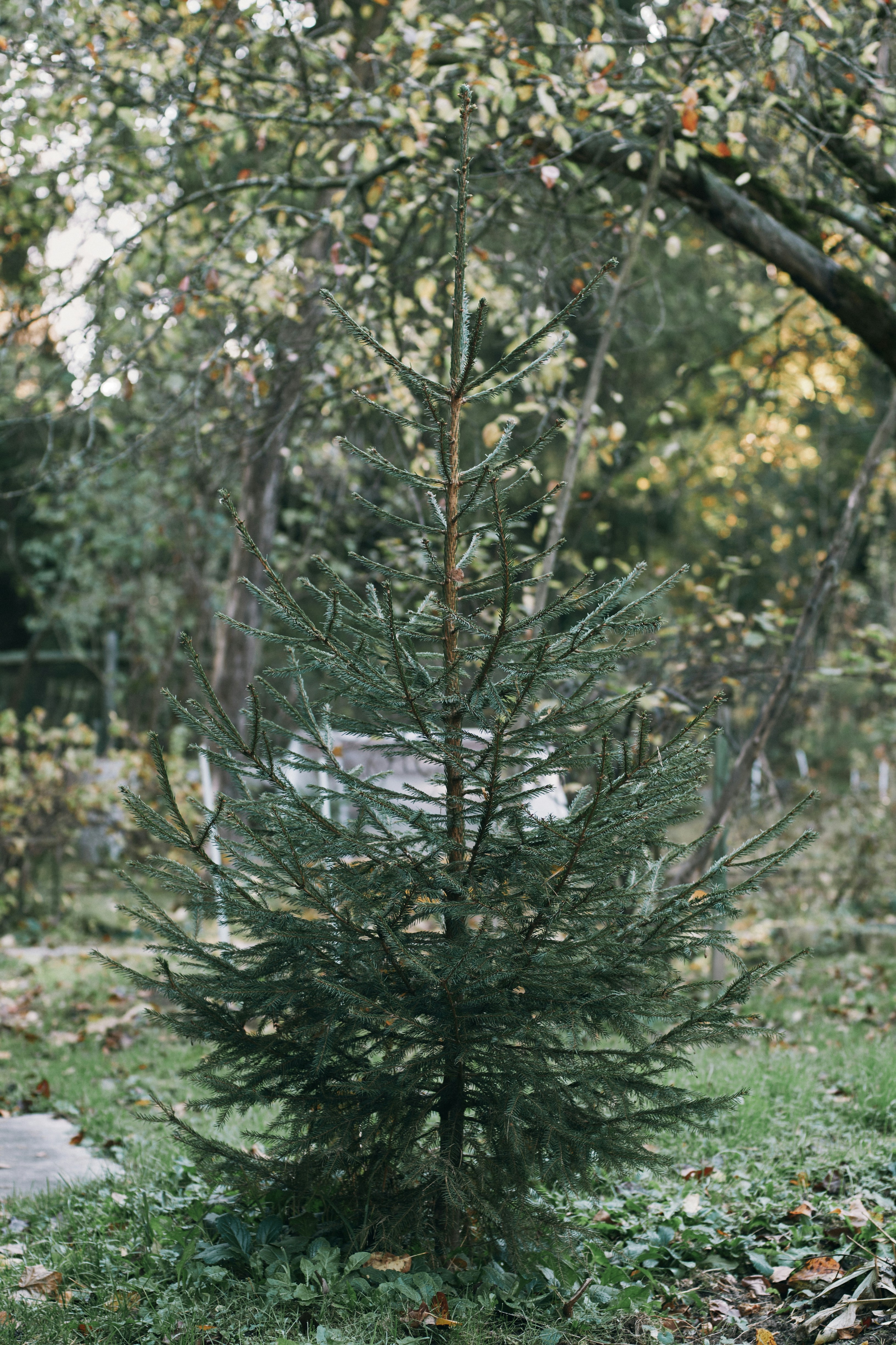 Photo by Jasper with Fujifilm X-T10