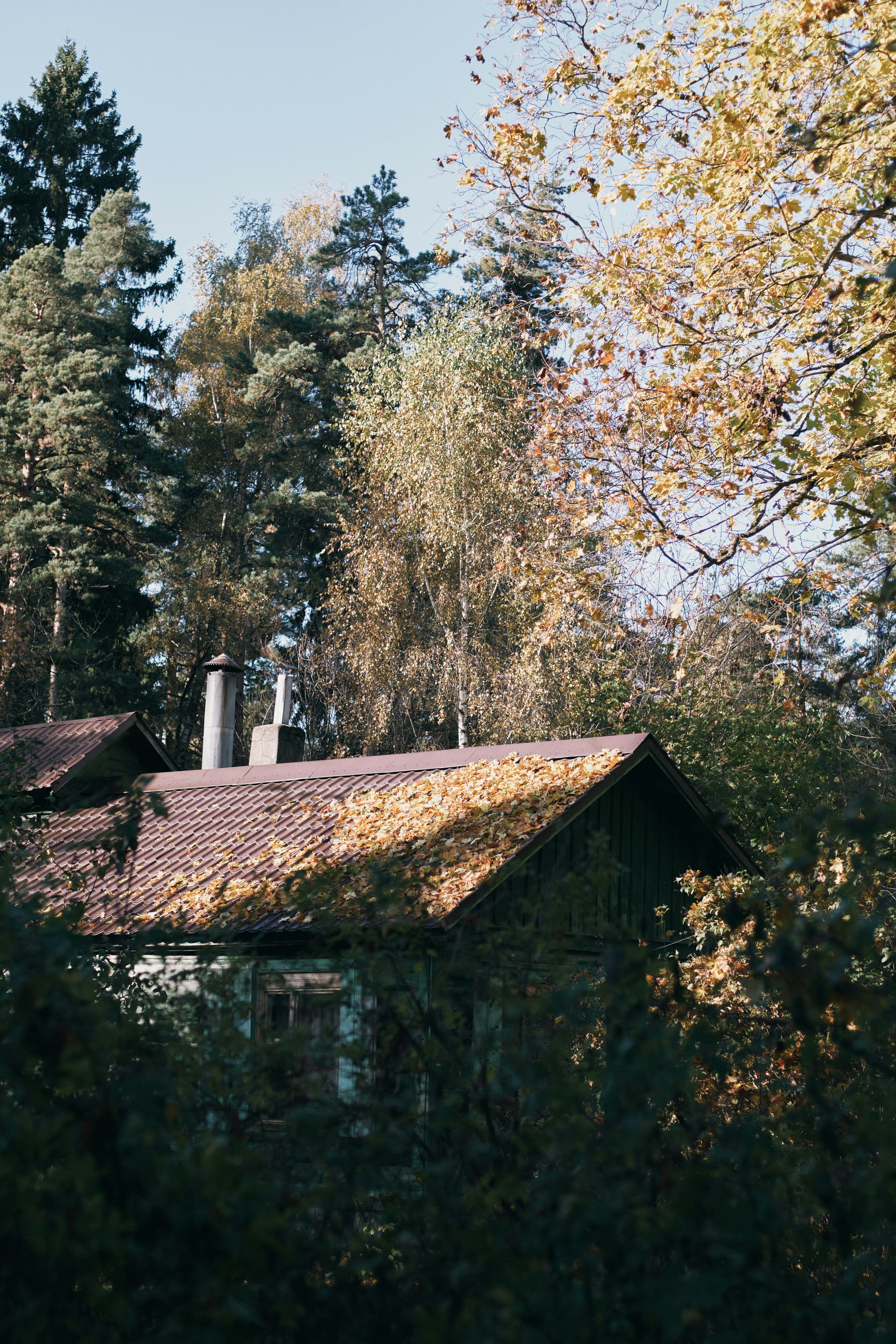 Photo by Jasper with Fujifilm X-T10