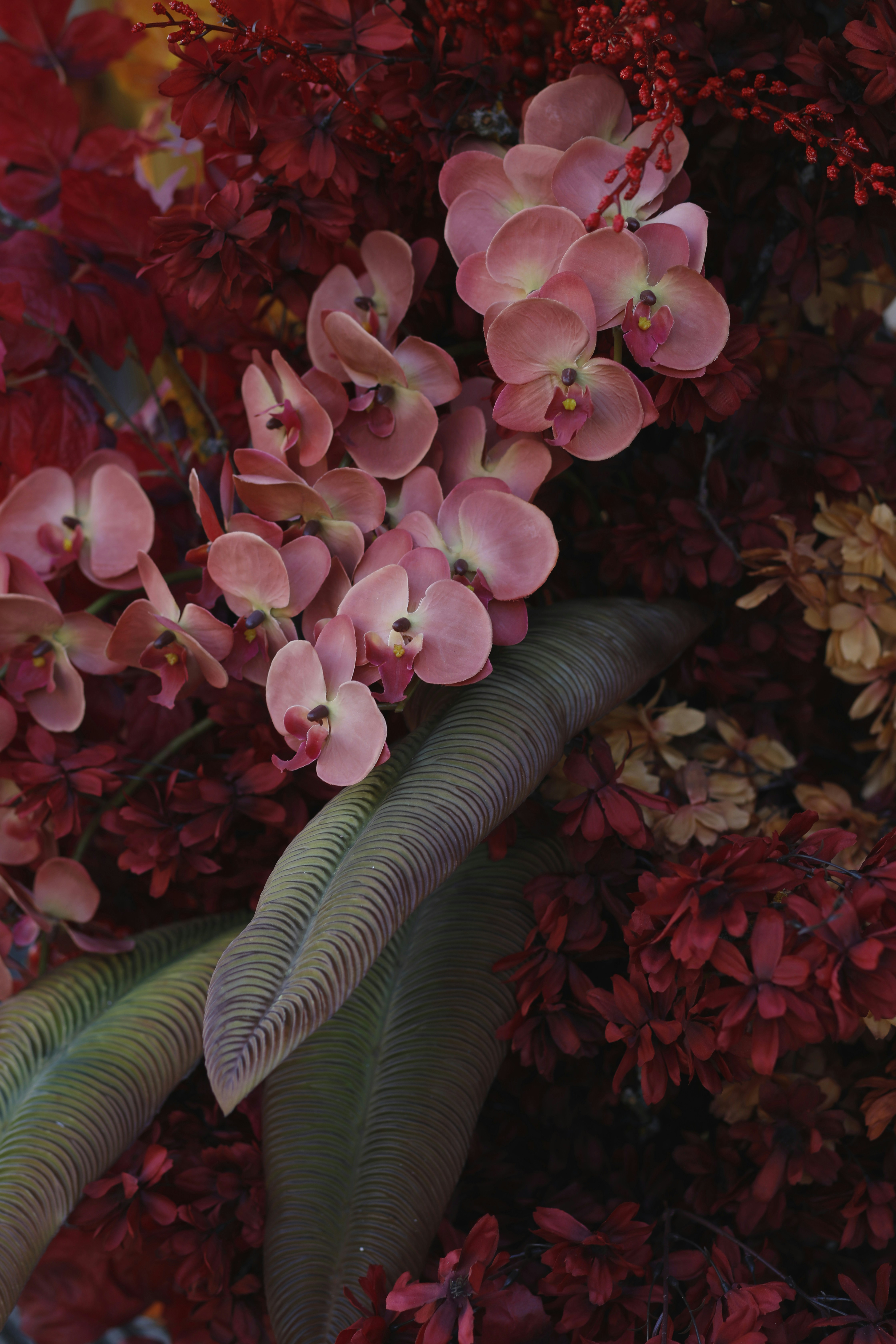 Photo by Elizabeth Marriott with Canon EOS 5D Mark IV