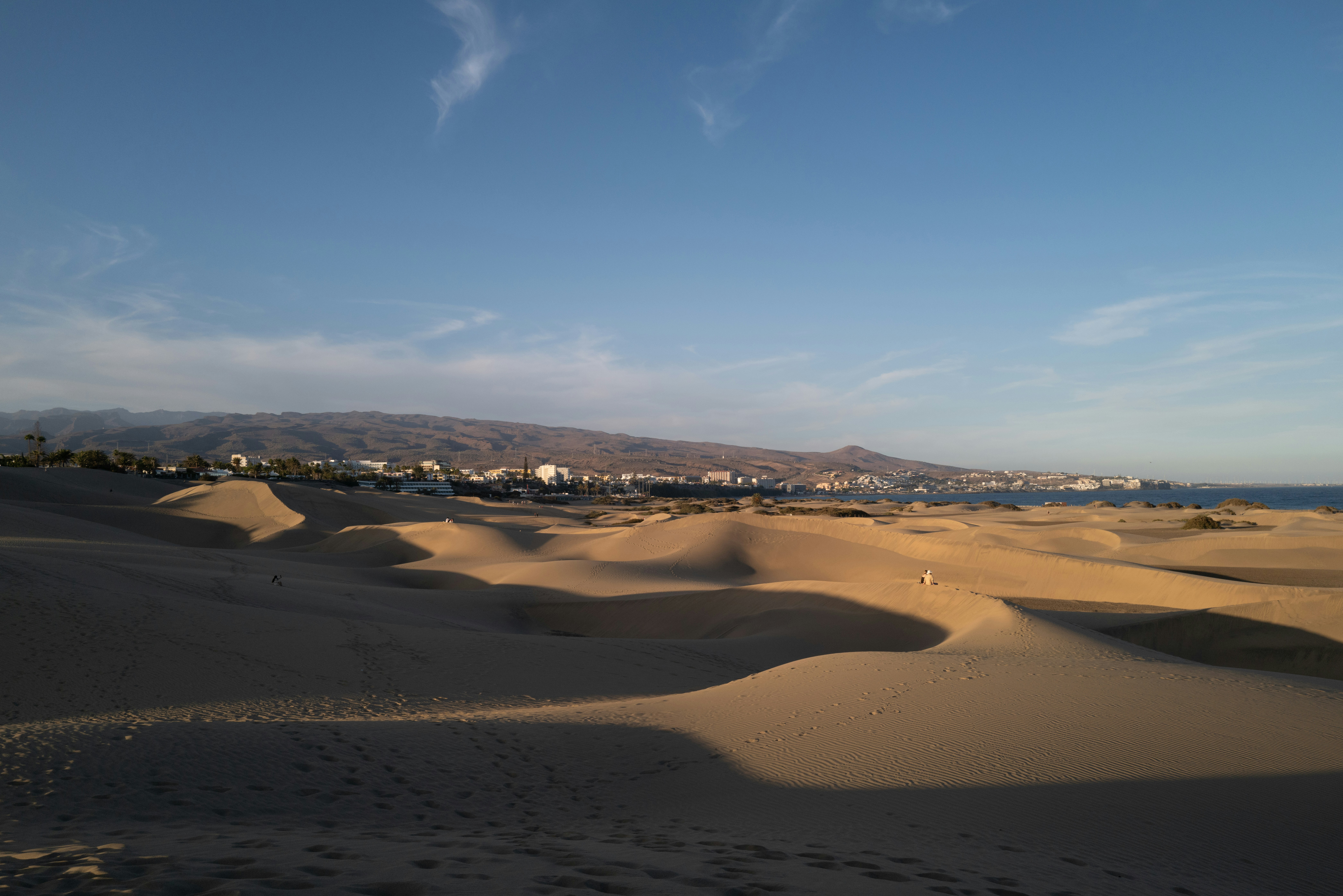 Dunes of Light Framing a Coastal Horizon