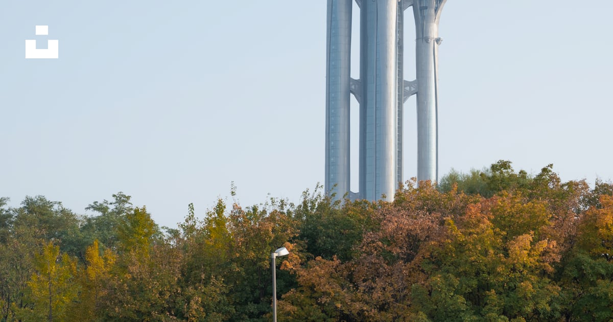 공원을 산책하는 한 무리의 사람들 사진 Unsplash의 무료 올림픽 삼림공원 이미지