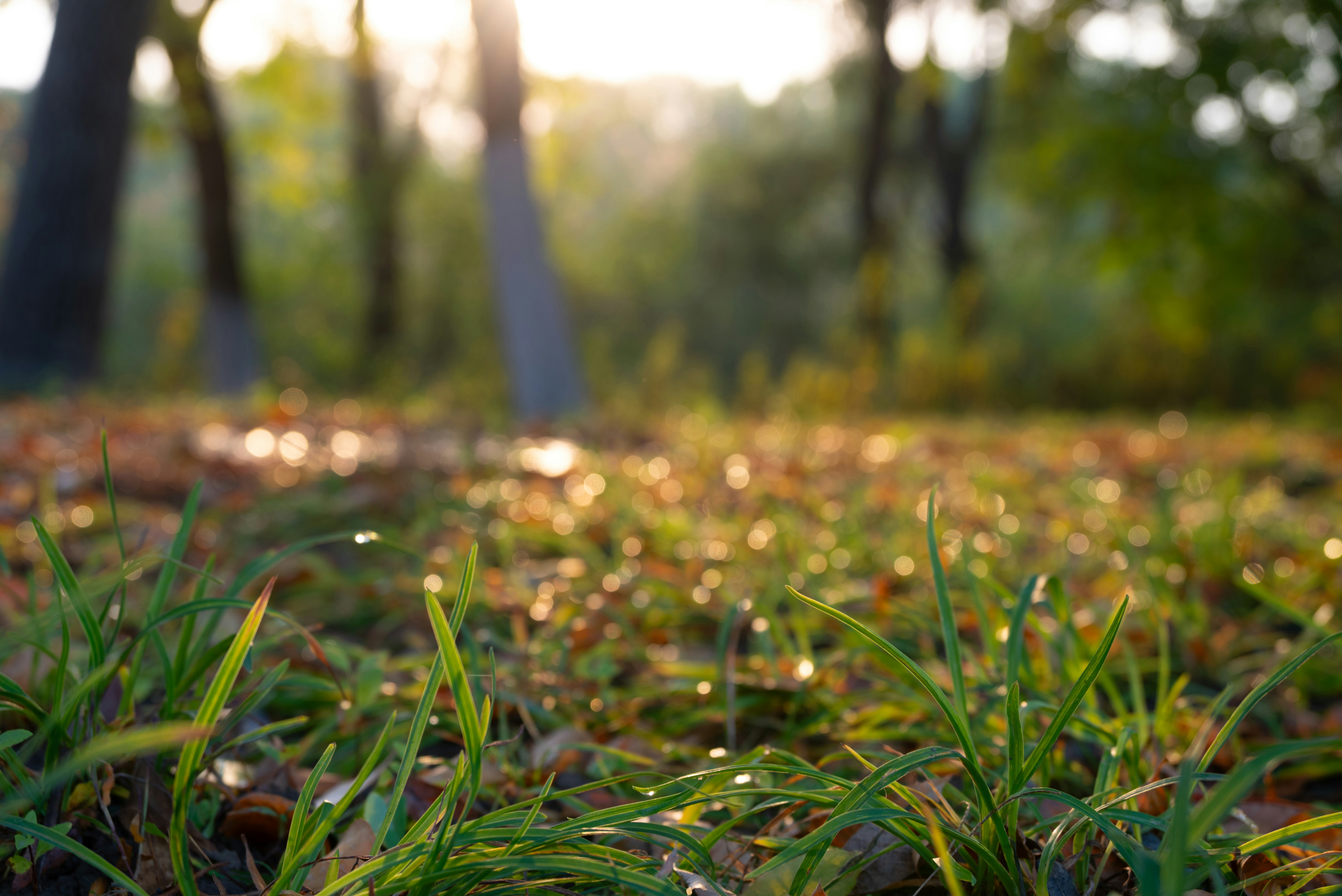 Photo by ran liwen with Nikon Z5