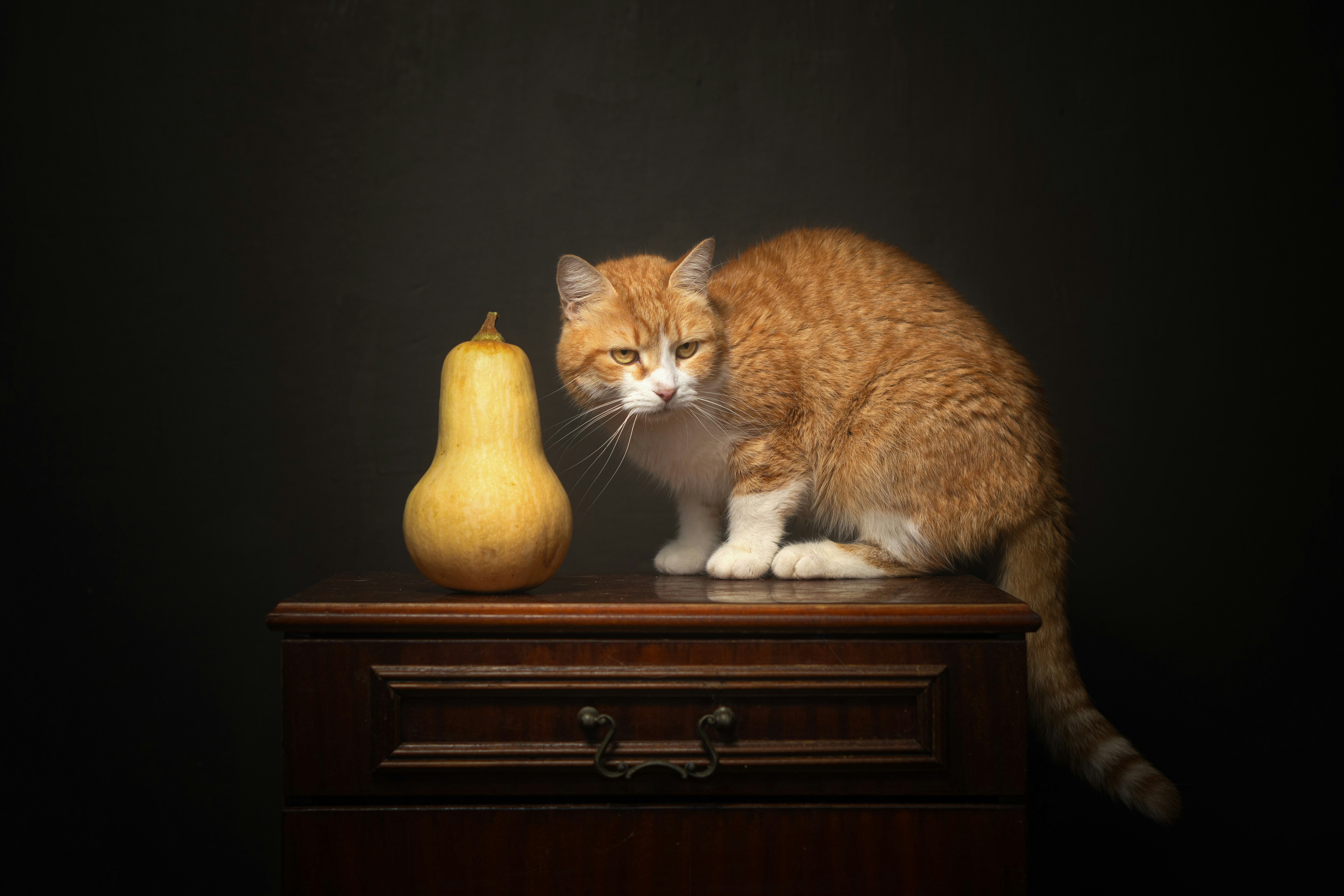 Ginger Sentinel on a Dresser: Still Life with a Curious Gourd
