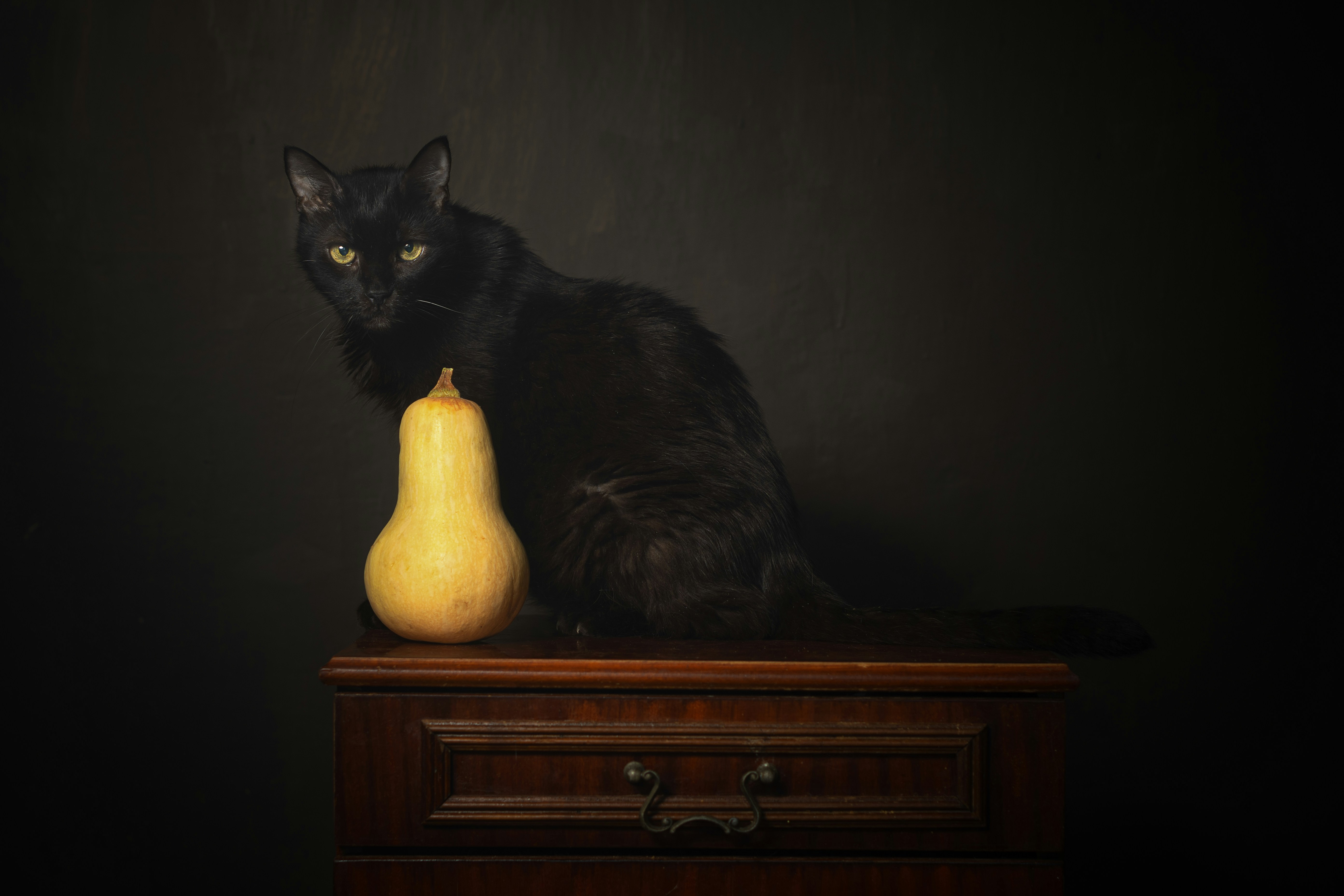 Nocturne on a Dresser: A Black Cat and a Golden Pear
