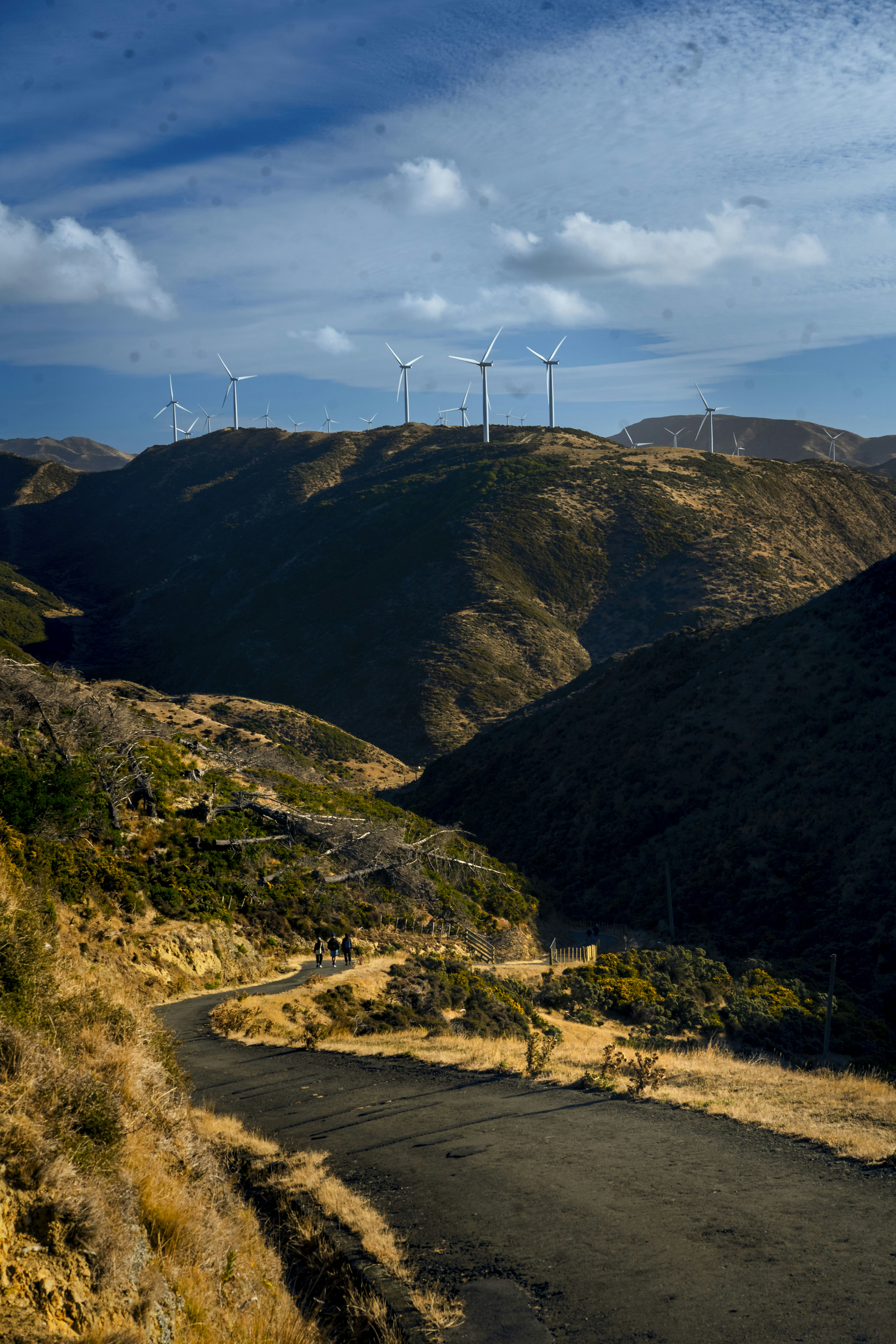 A winding road with wind turbines in the distance photo – Free Mākara ...