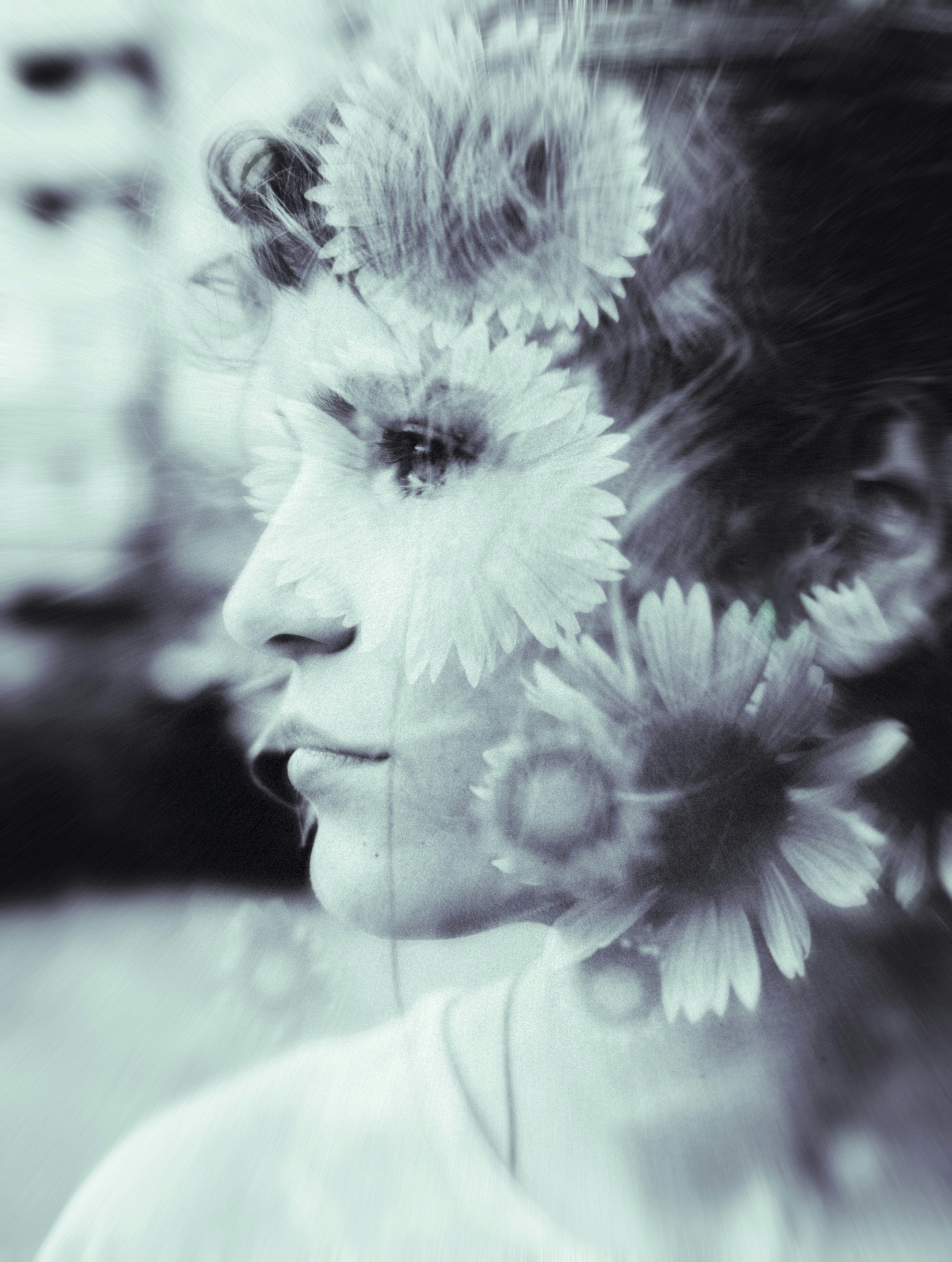 Sunflower Echoes: A Portrait Woven Through Petals