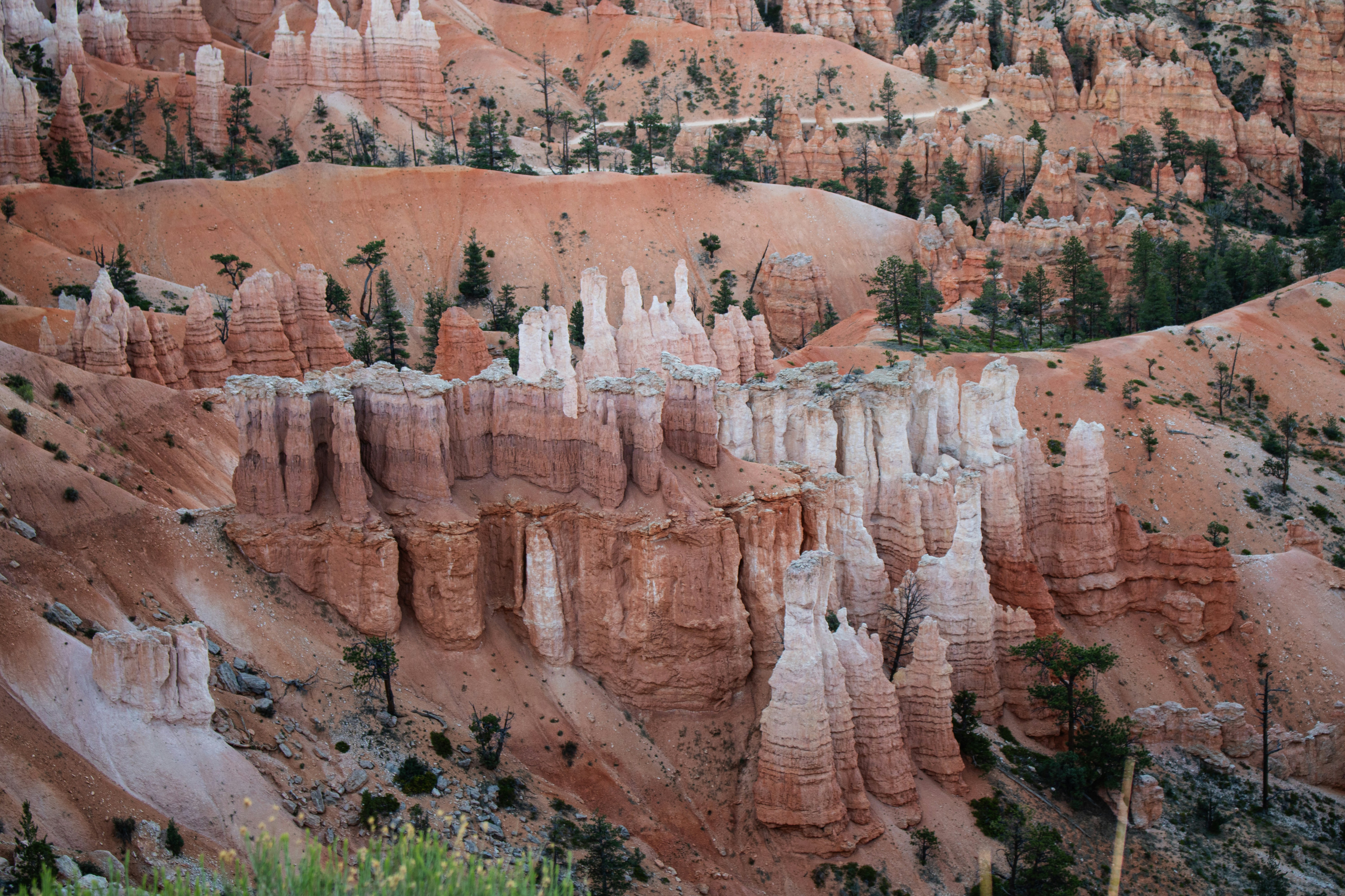 A view of a mountain range with a forest in the foreground photo – Free ...