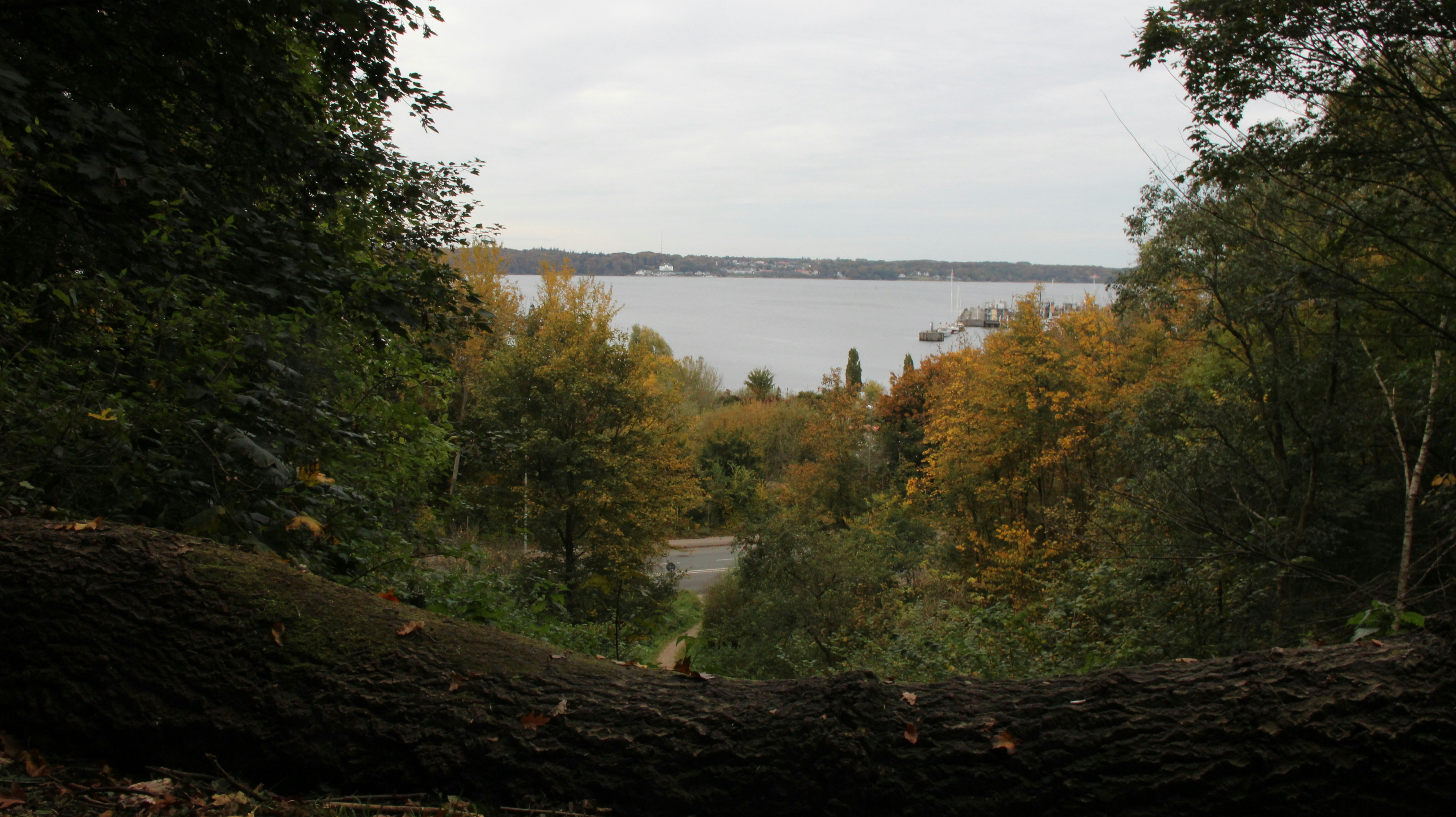 Autumn Vistas: A Quiet Path Framing a Distant Lake