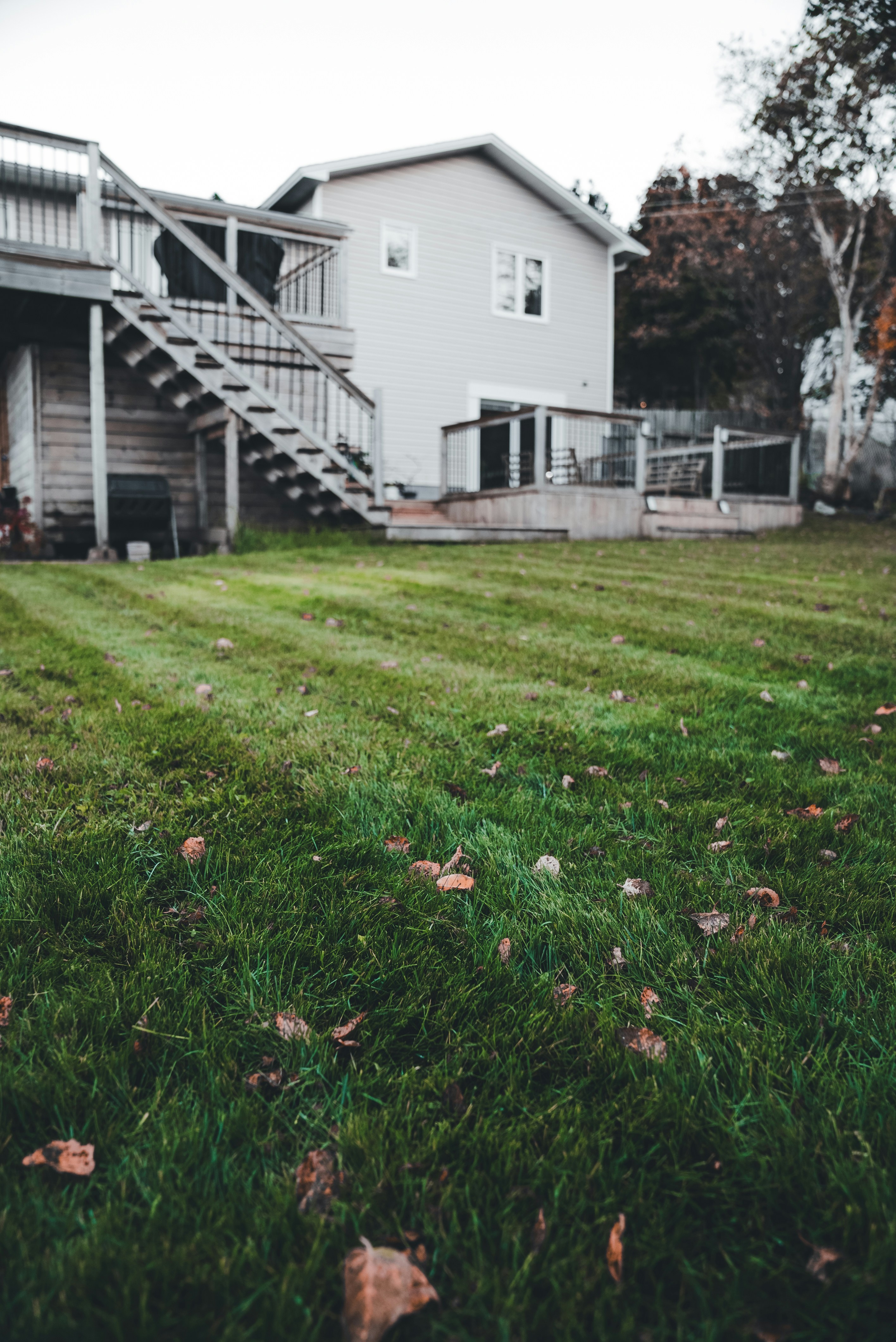 Green Lawn Framing a White Suburban Home with a Staircase Deck