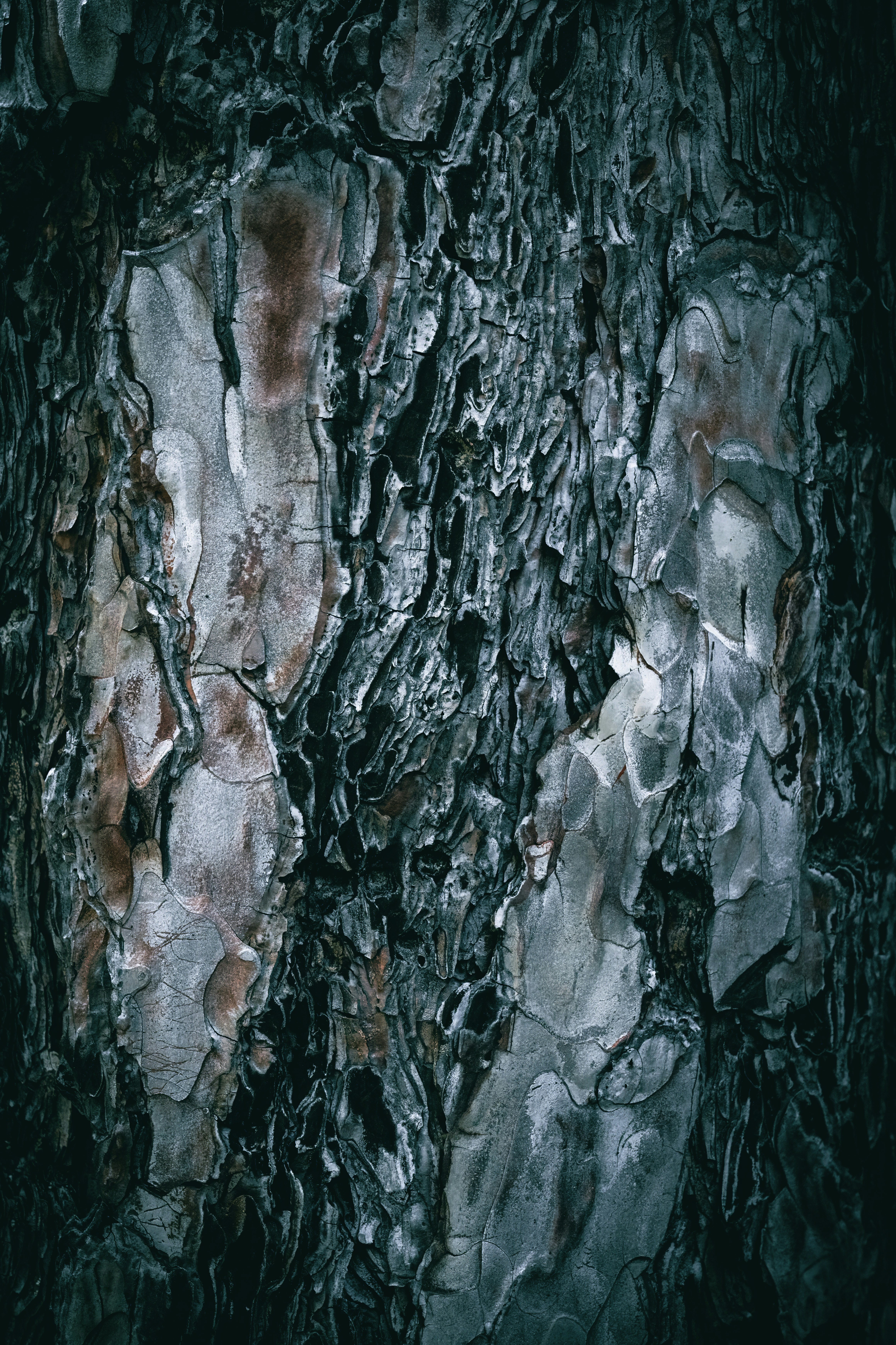 Cracked Veil: A Close-Up Study of Weathered Rock Textures