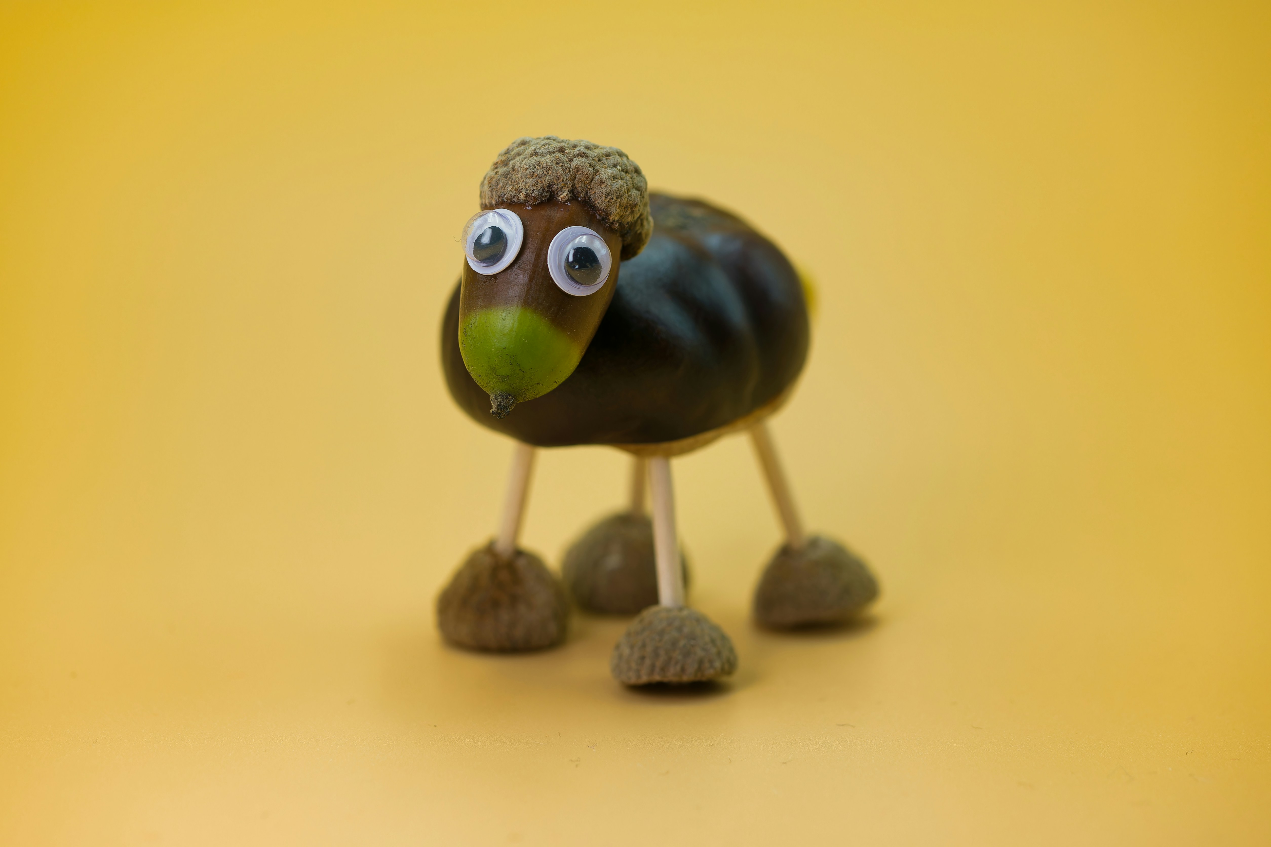 Close-up of a small toy beetle with googly eyes on a solid yellow background. A macro shot of a crafty model with shallow depth of field.