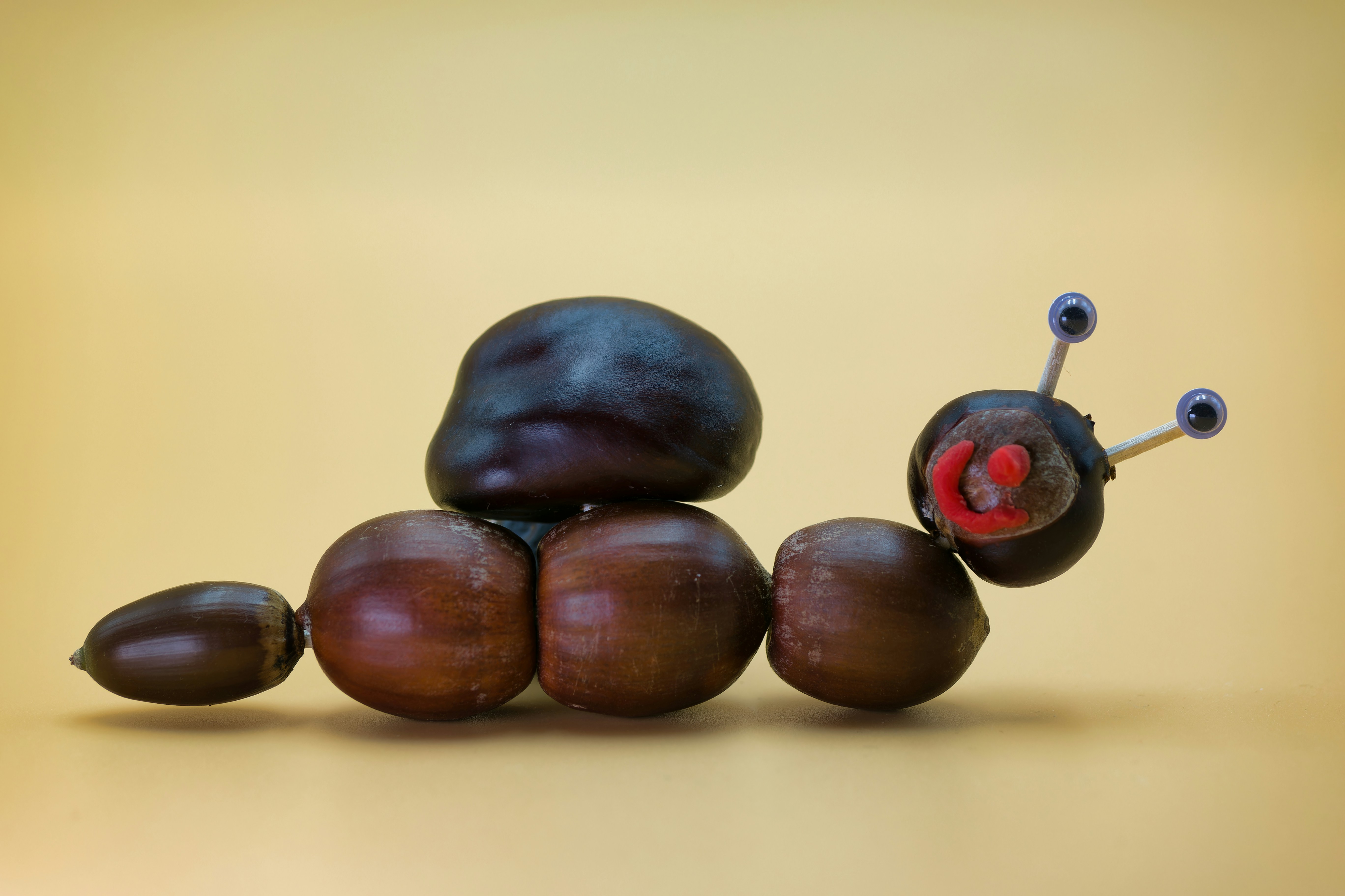 A playful chestnut sculpture forms a snail-like creature with antennae against a bright yellow background. The piece highlights texture and whimsy in a simple still-life moment.