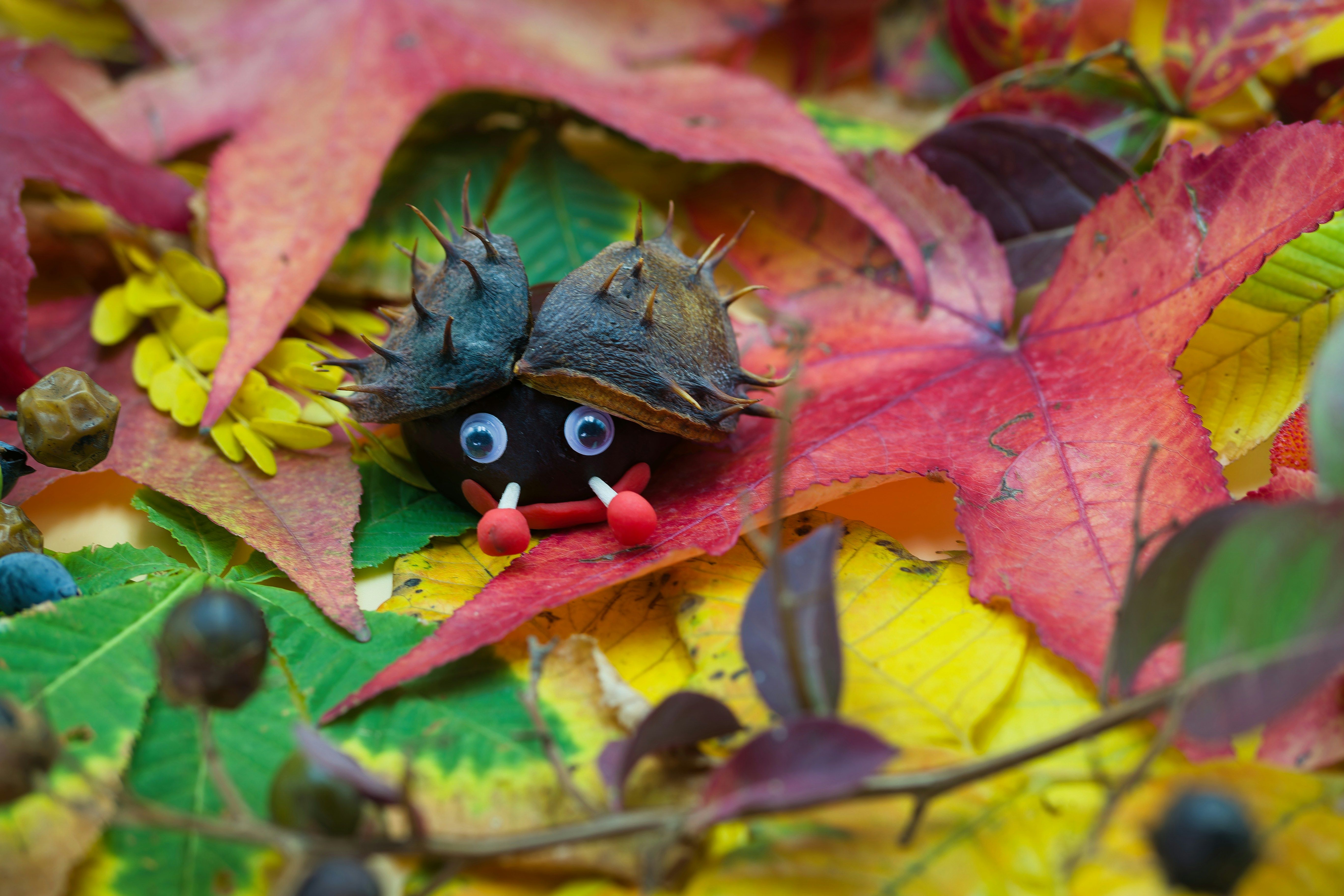A tiny black creature with big eyes and red antennae rests among bright autumn leaves, creating a playful focal point in a colorful, natural setting.