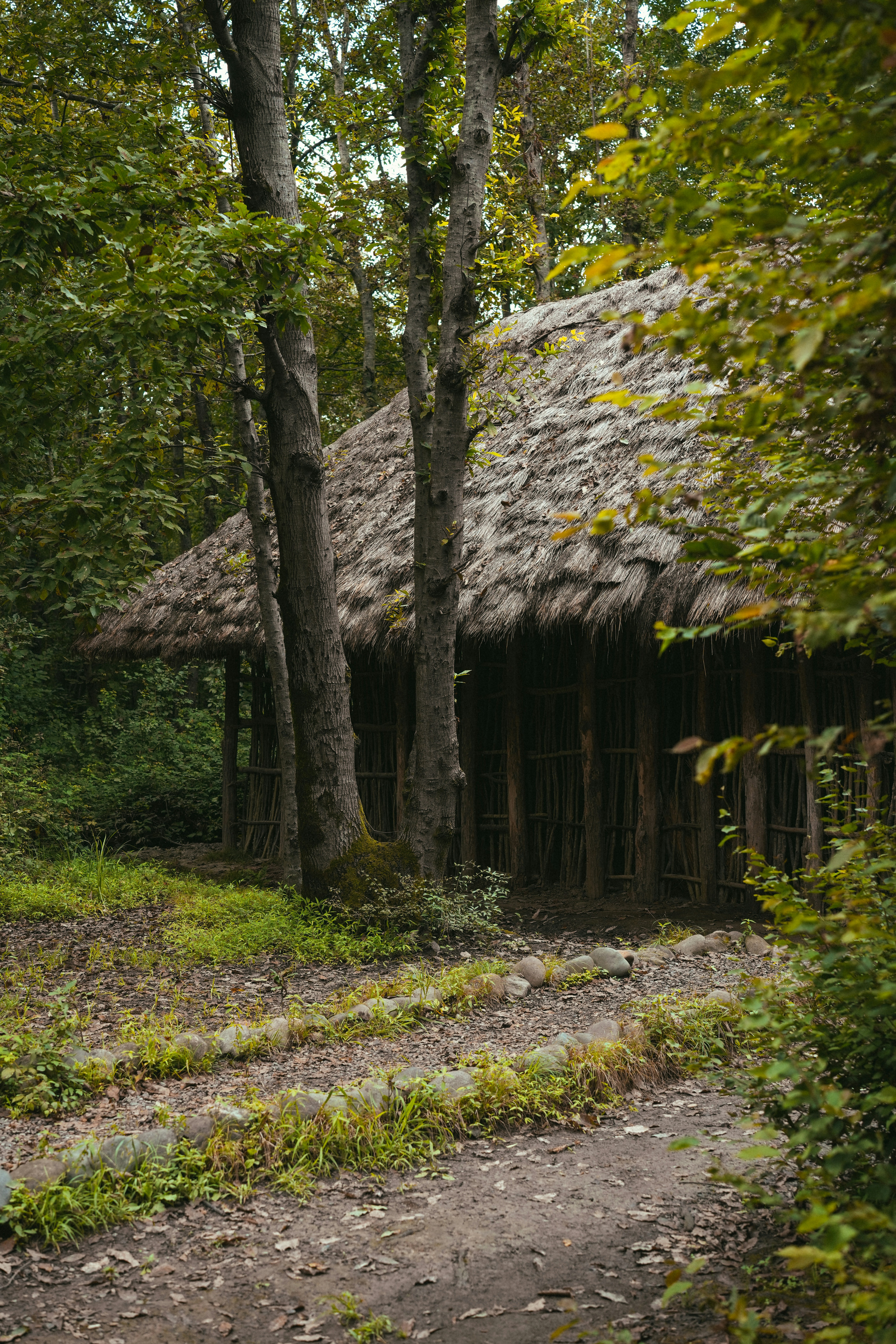 Photo by Mohammad Moshkforoush with Sony Alpha 7 IV