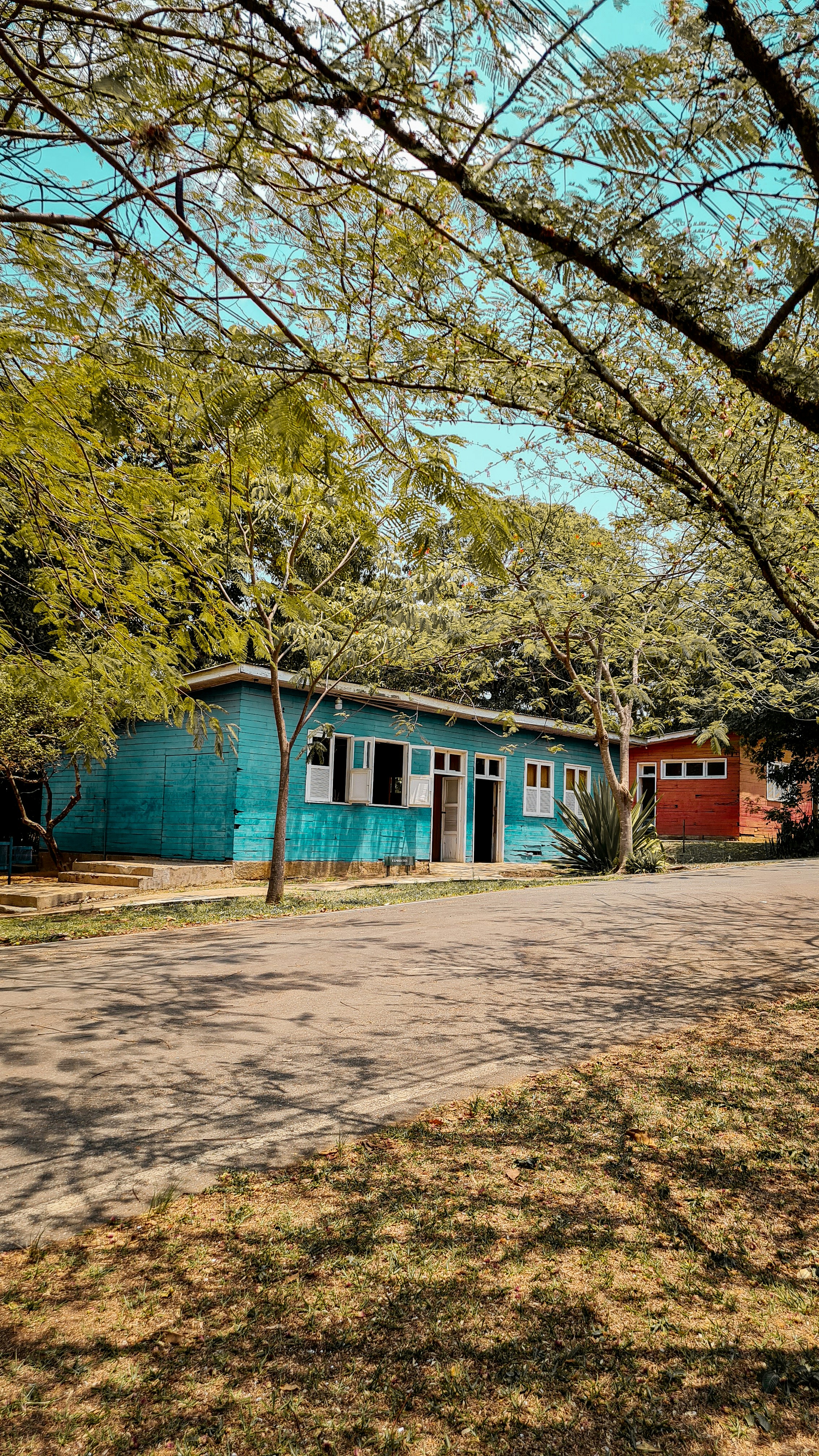 Turquoise Cottage on a Tree-Canopied Street