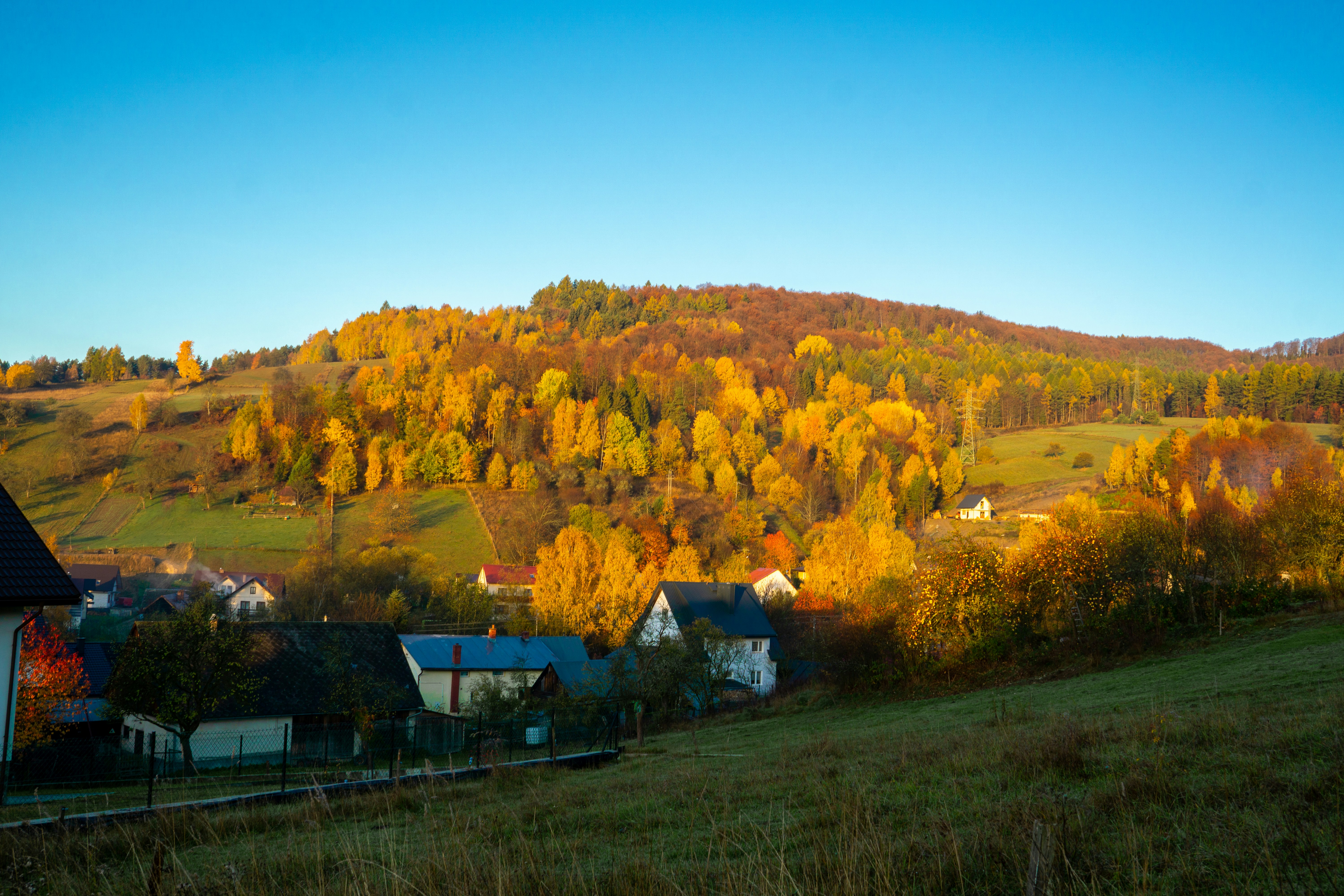 Autumn foliage blankets rolling hills behind a quaint village under a clear blue sky.