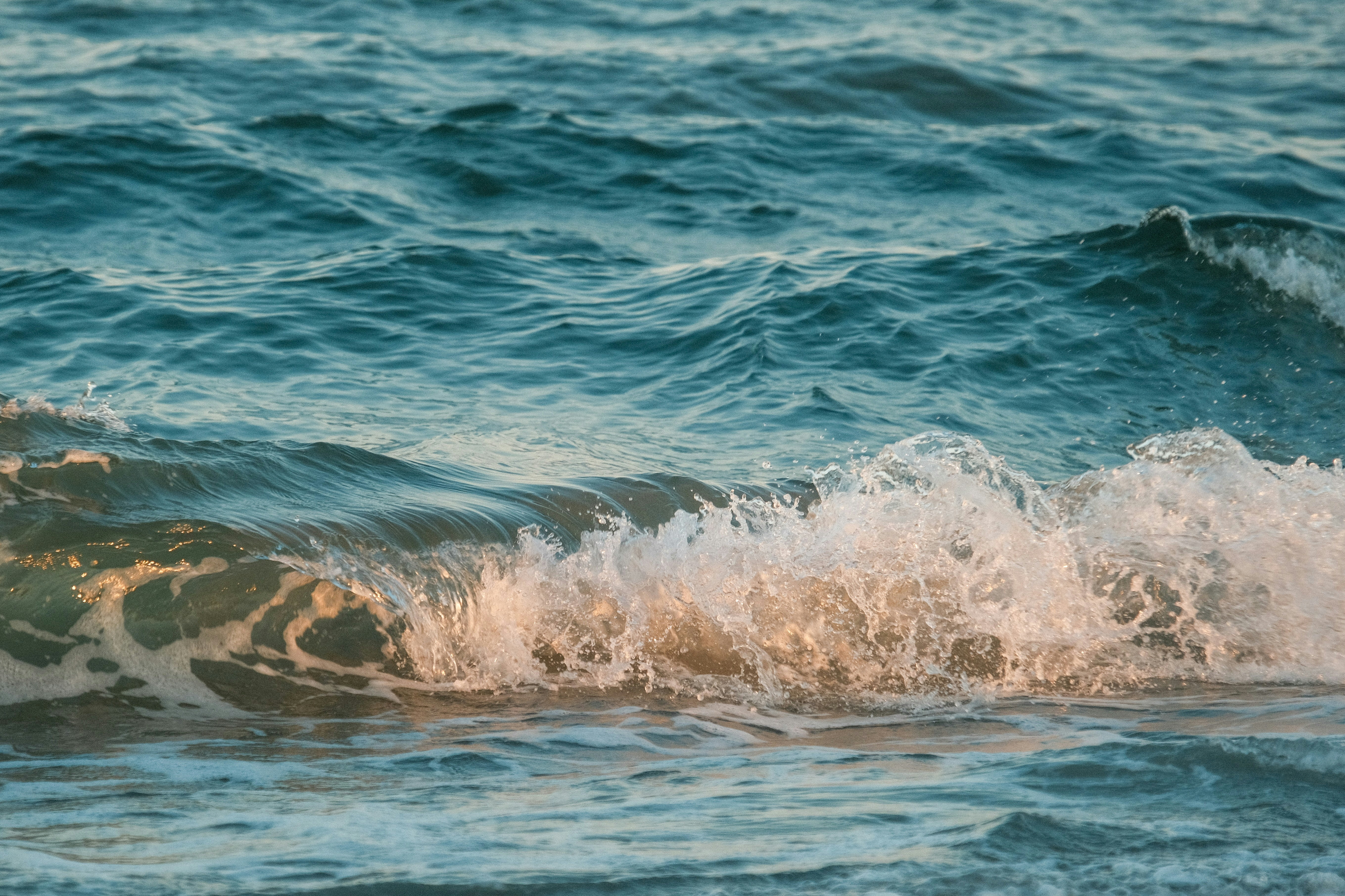 The beaches on the east of Corsica are different from those on the west coast, less rocky and more straight. Nonetheless they provide such a nice scenery and we could spent many hours there.