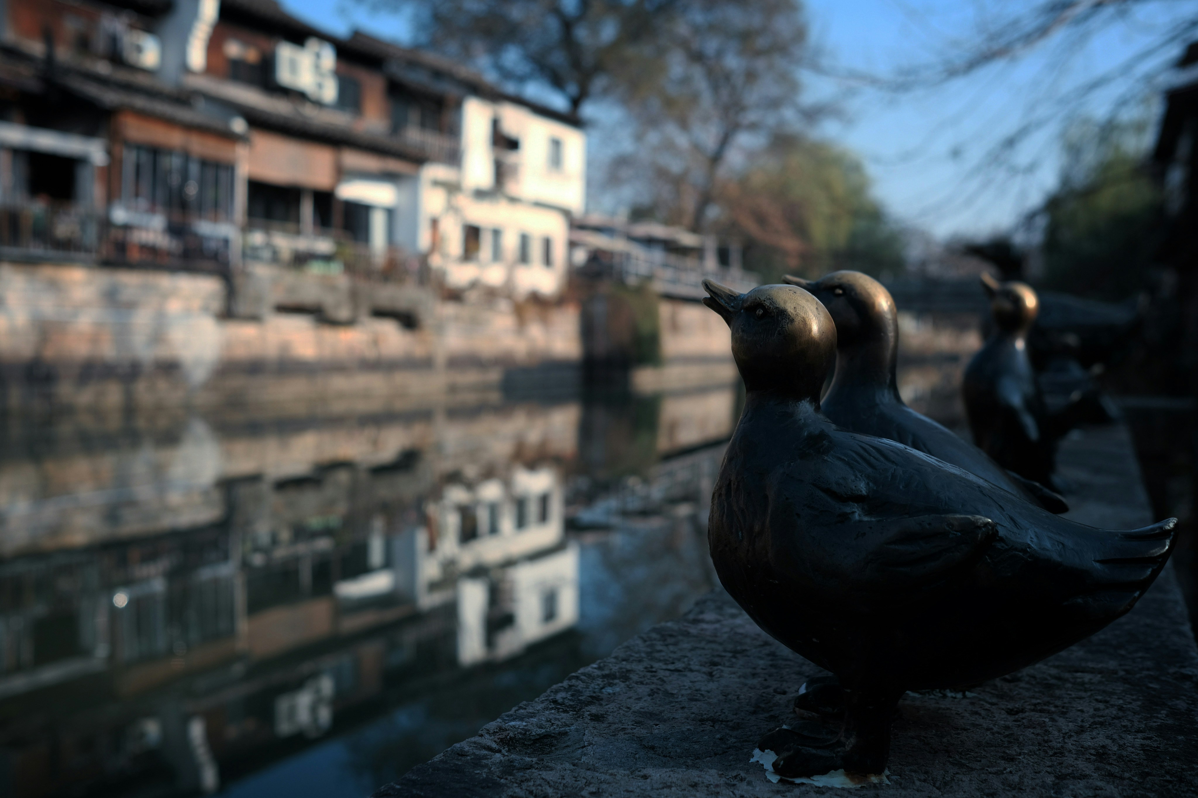 Photo by Kris Tian with Fujifilm X-T30 II