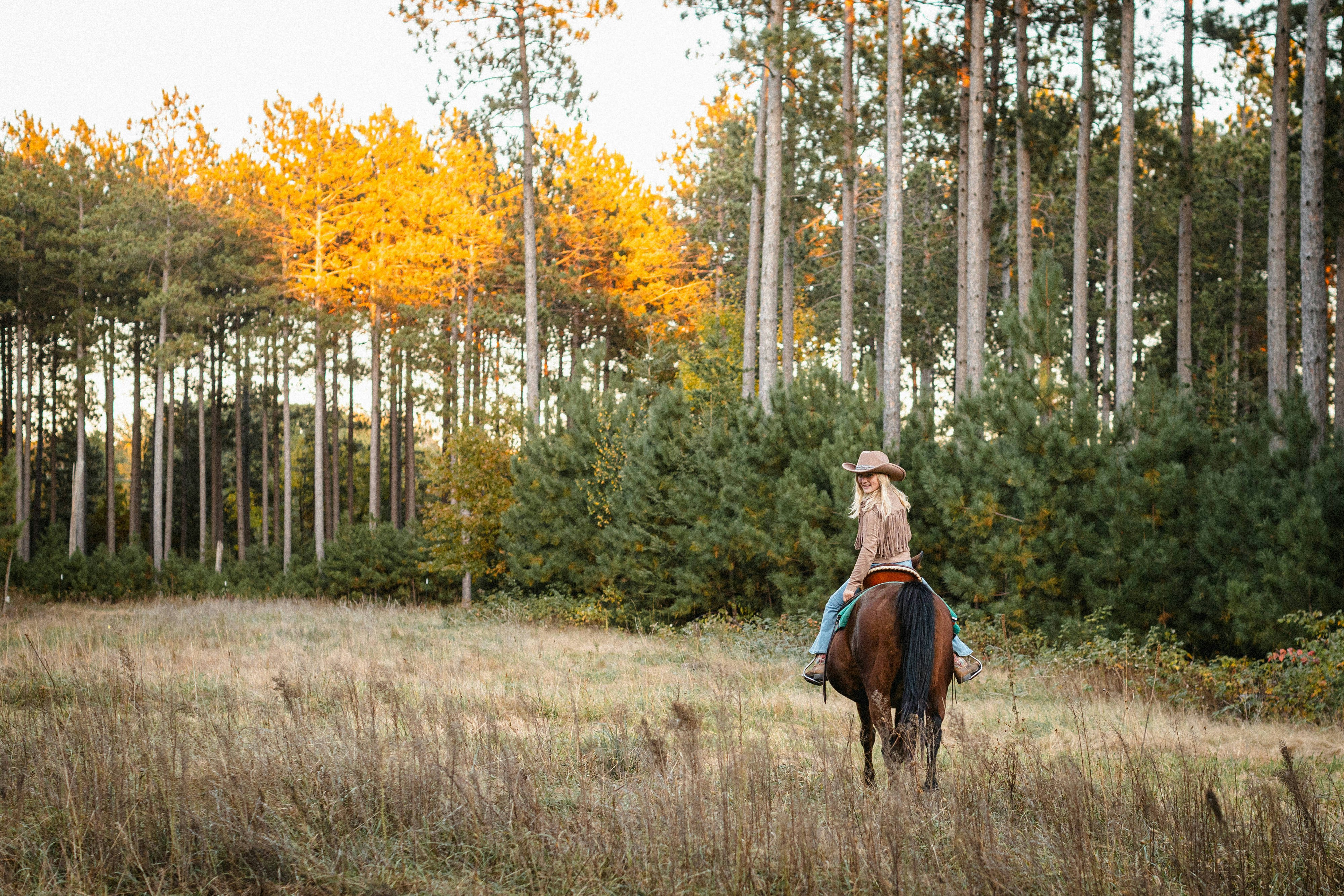 horseJennifer Kalenberg