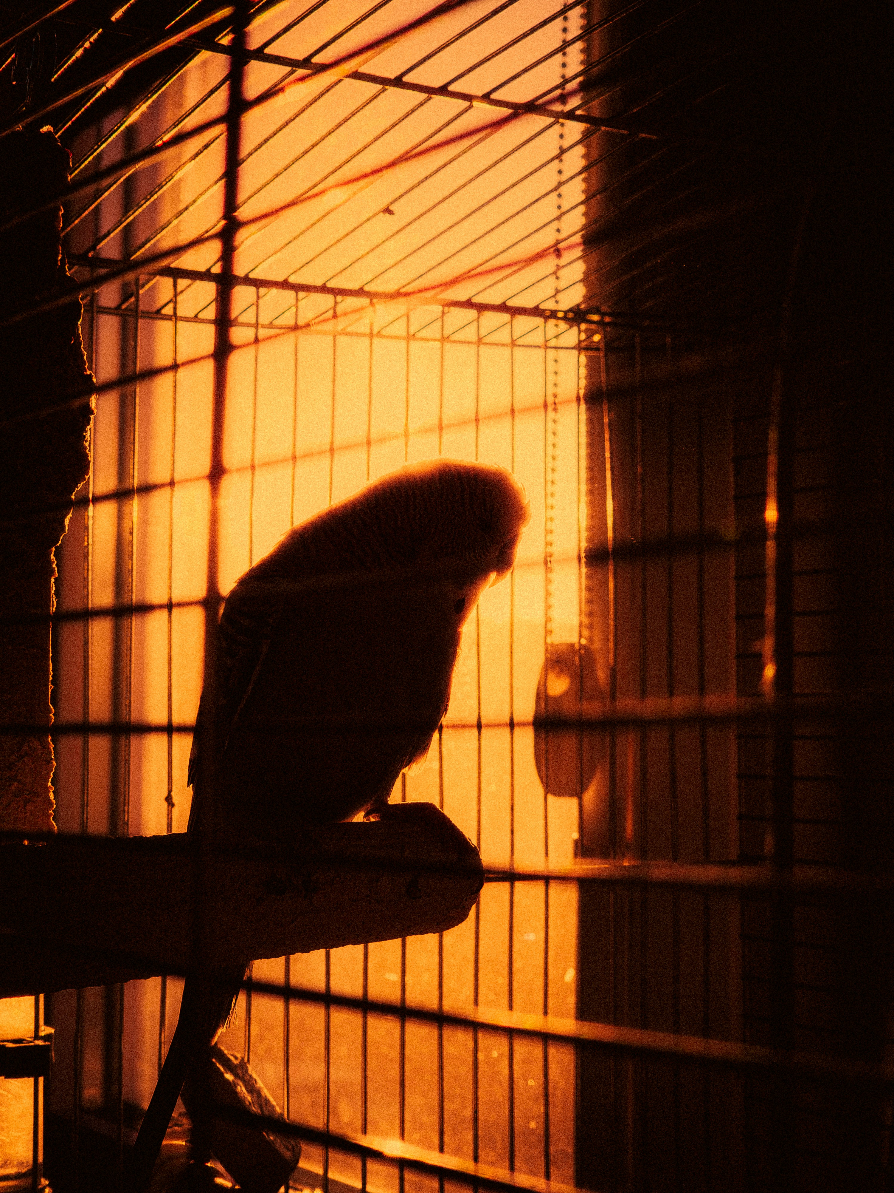 Photo by Max Ovcharenko with Samsung Galaxy S22