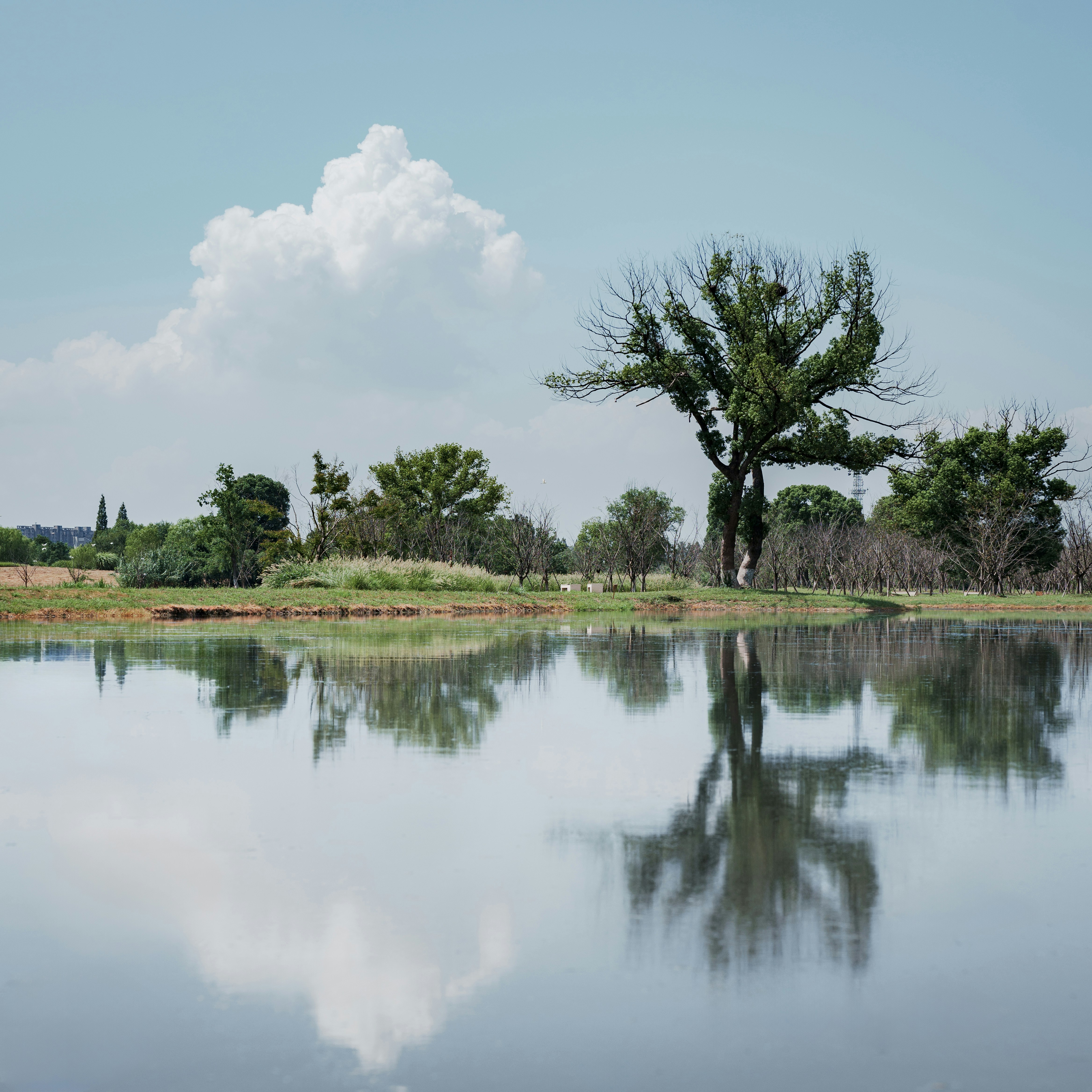 Photo by Junkai Luo with Sony Alpha 7 IV