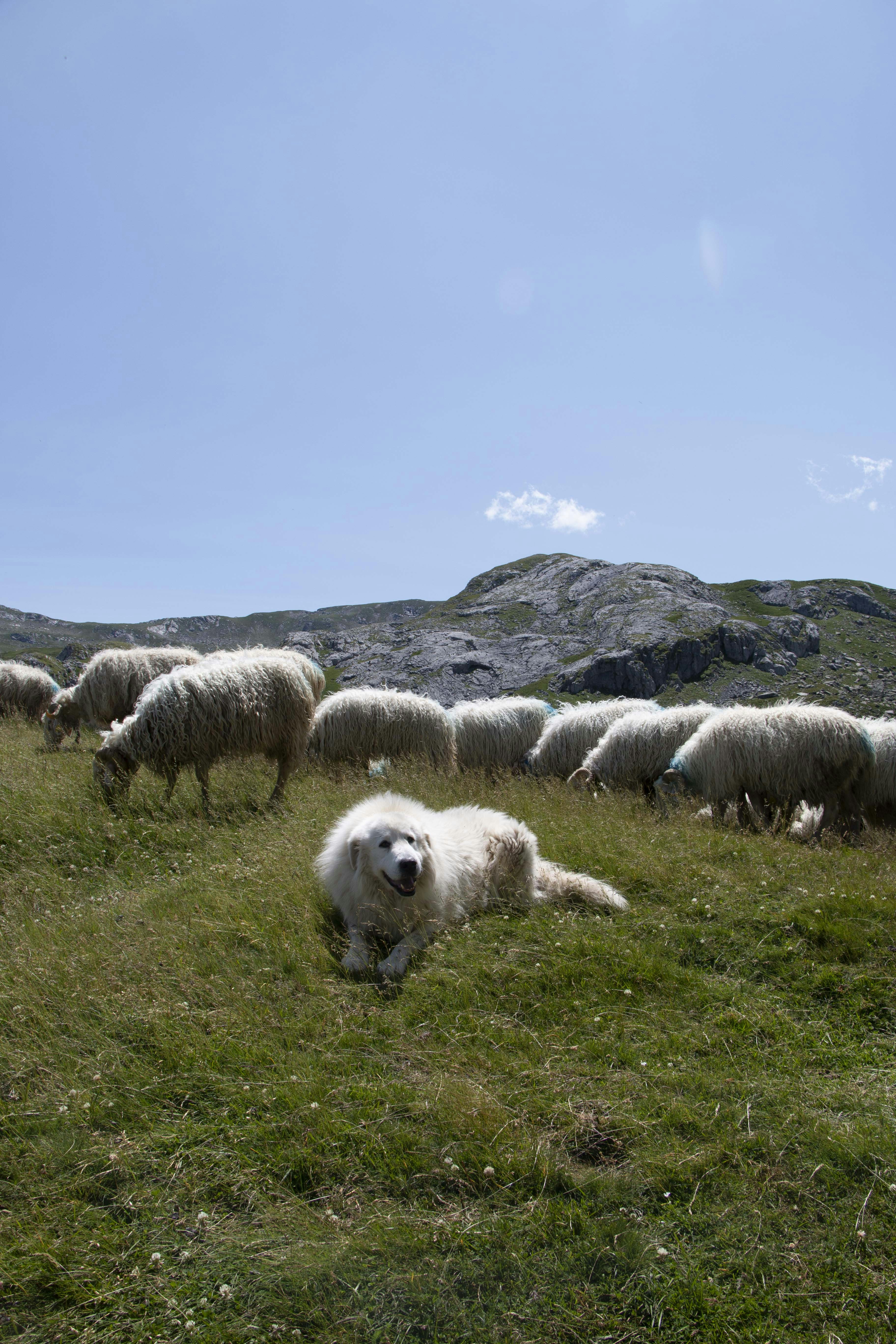 Photo by Margaux Quercy with Canon EOS 70D