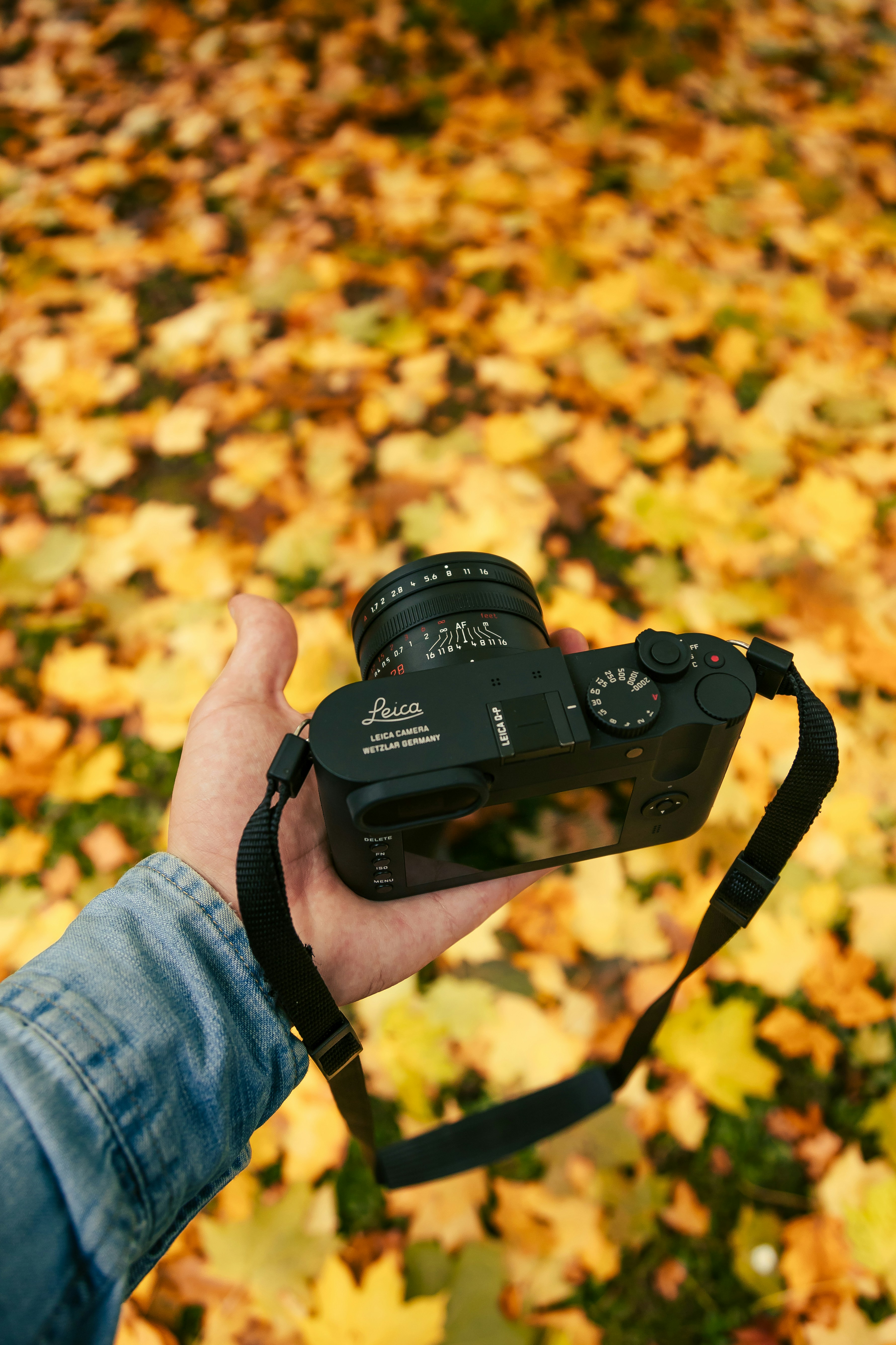 A person holding a camera in their hand photo – Free Sergiev posad ...