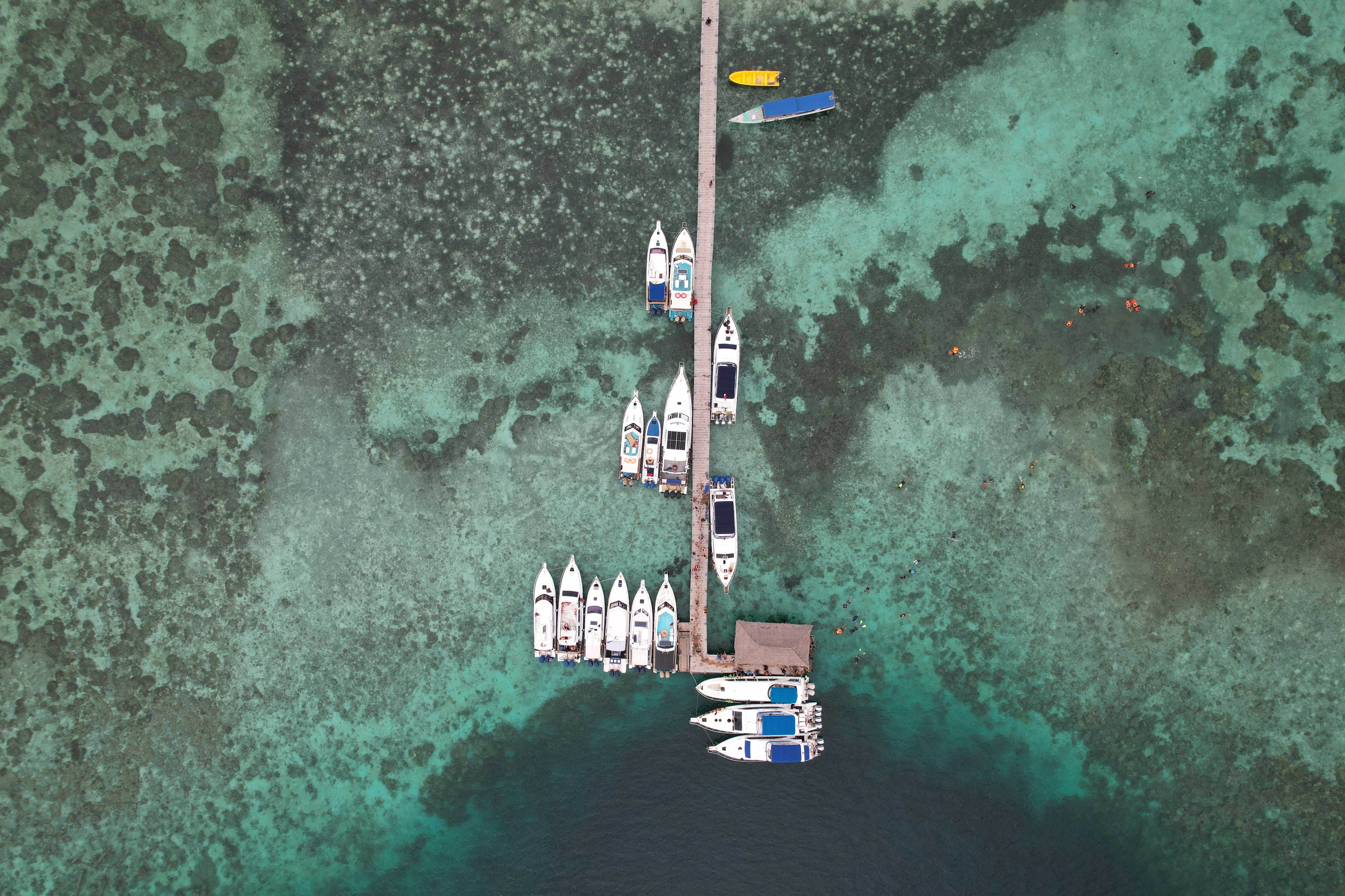 Turquoise Harbor: A Narrow Pier Hosting a Fleet of White Sails
