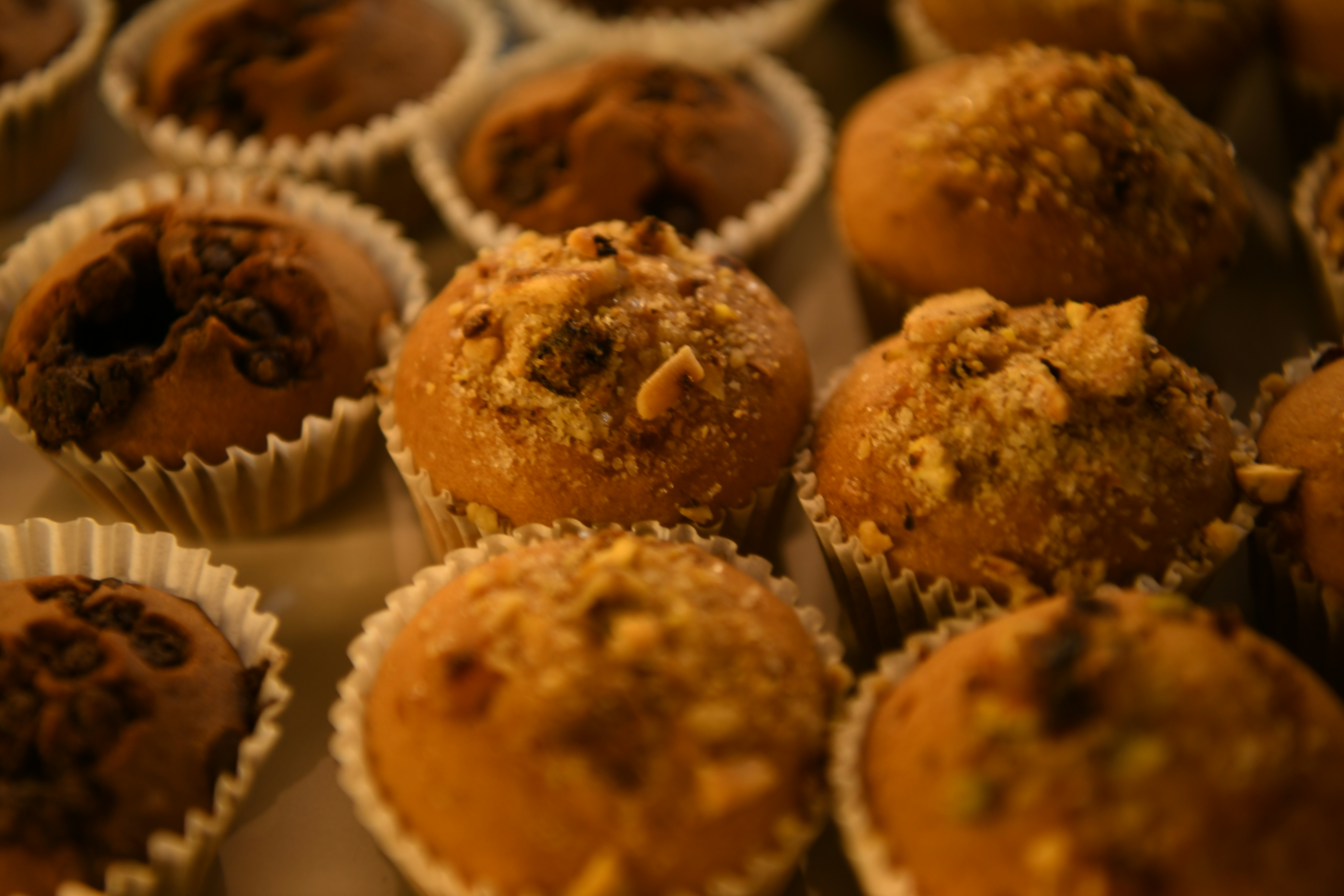 A close up of a tray of muffins photo – Free Food Image on Unsplash