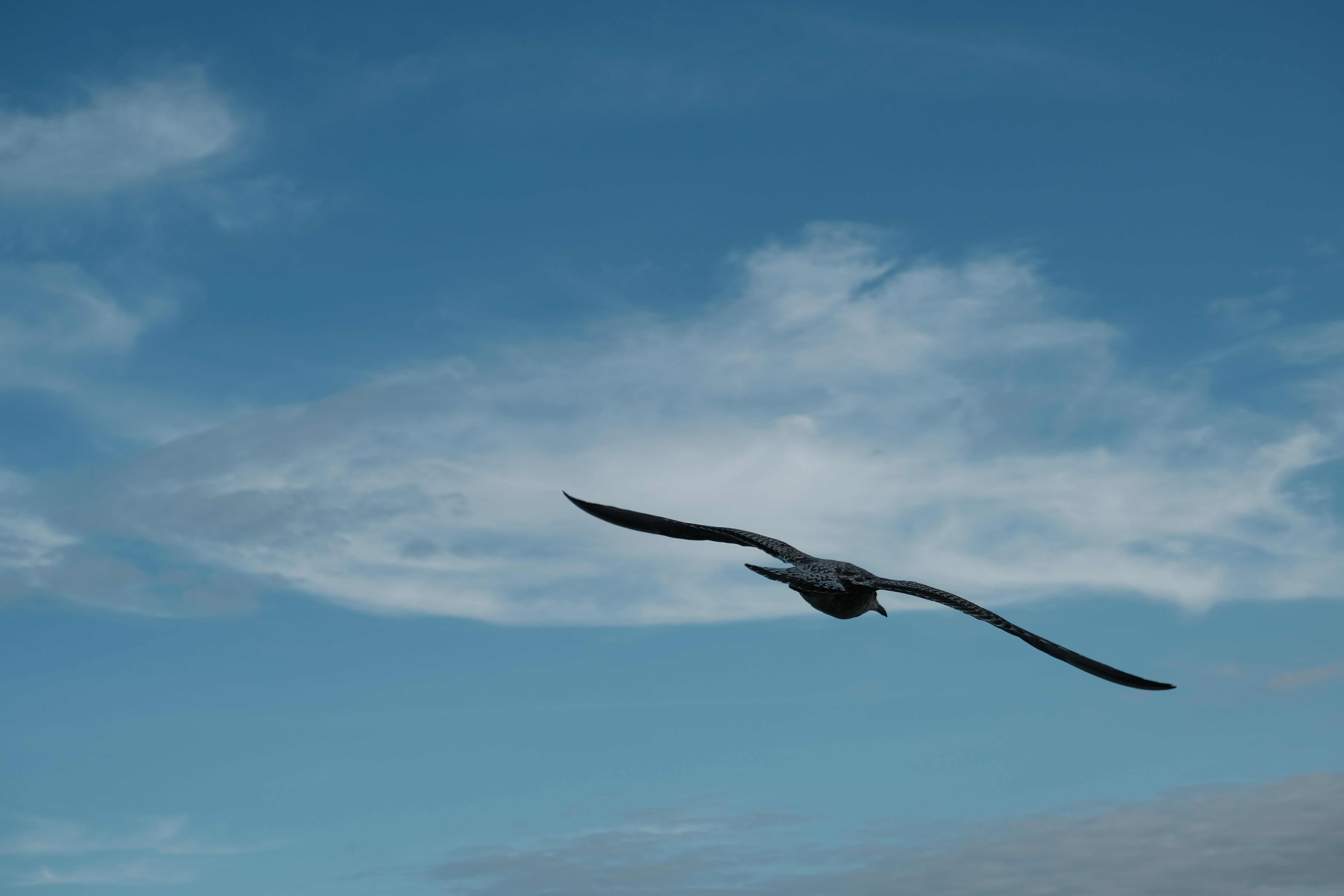 Photo by Muyan (Mooy) Chen with Fujifilm X-T30 II