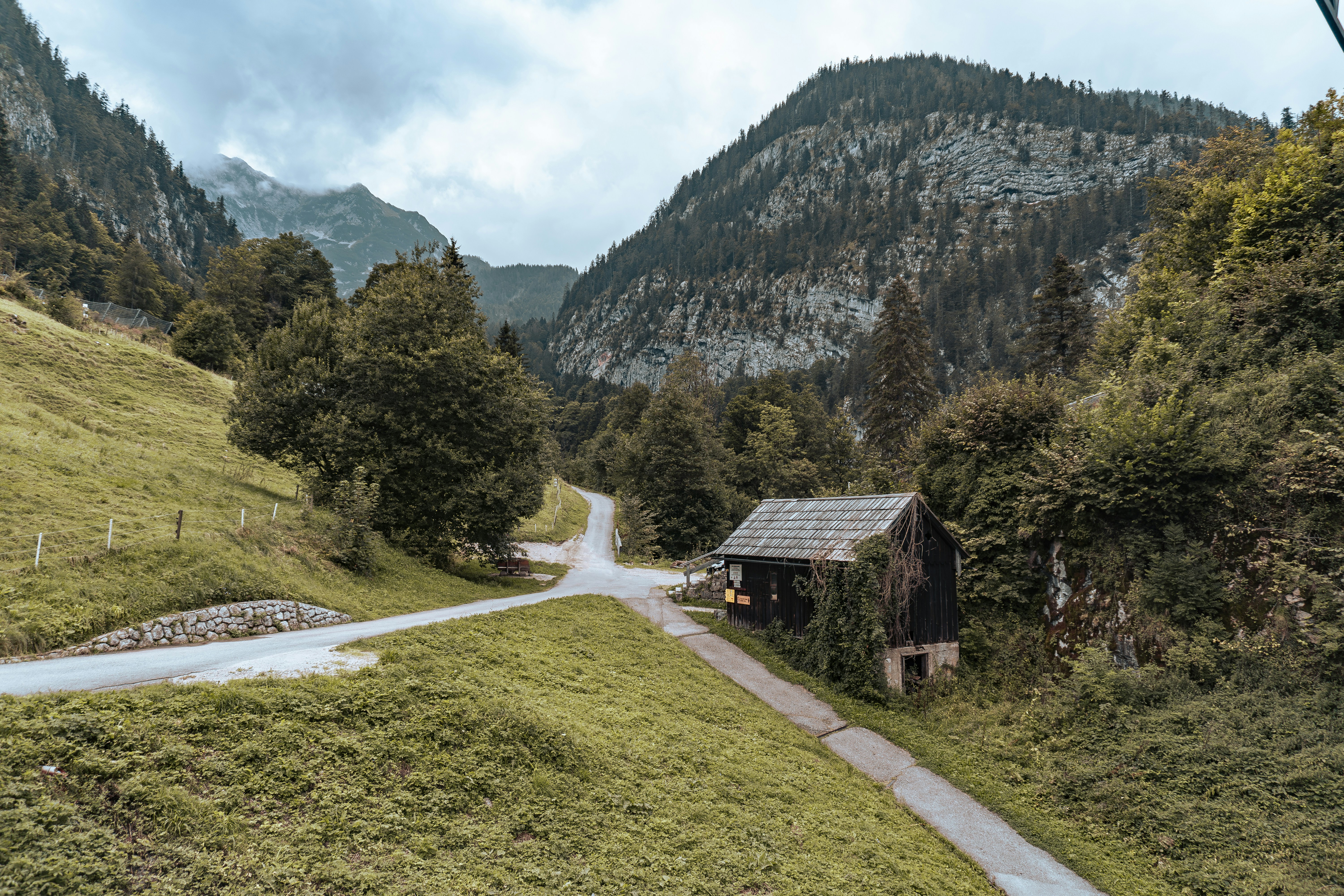 Alpine Corridor: Rustic Hut Along a Winding Path Beneath Forested Peaks