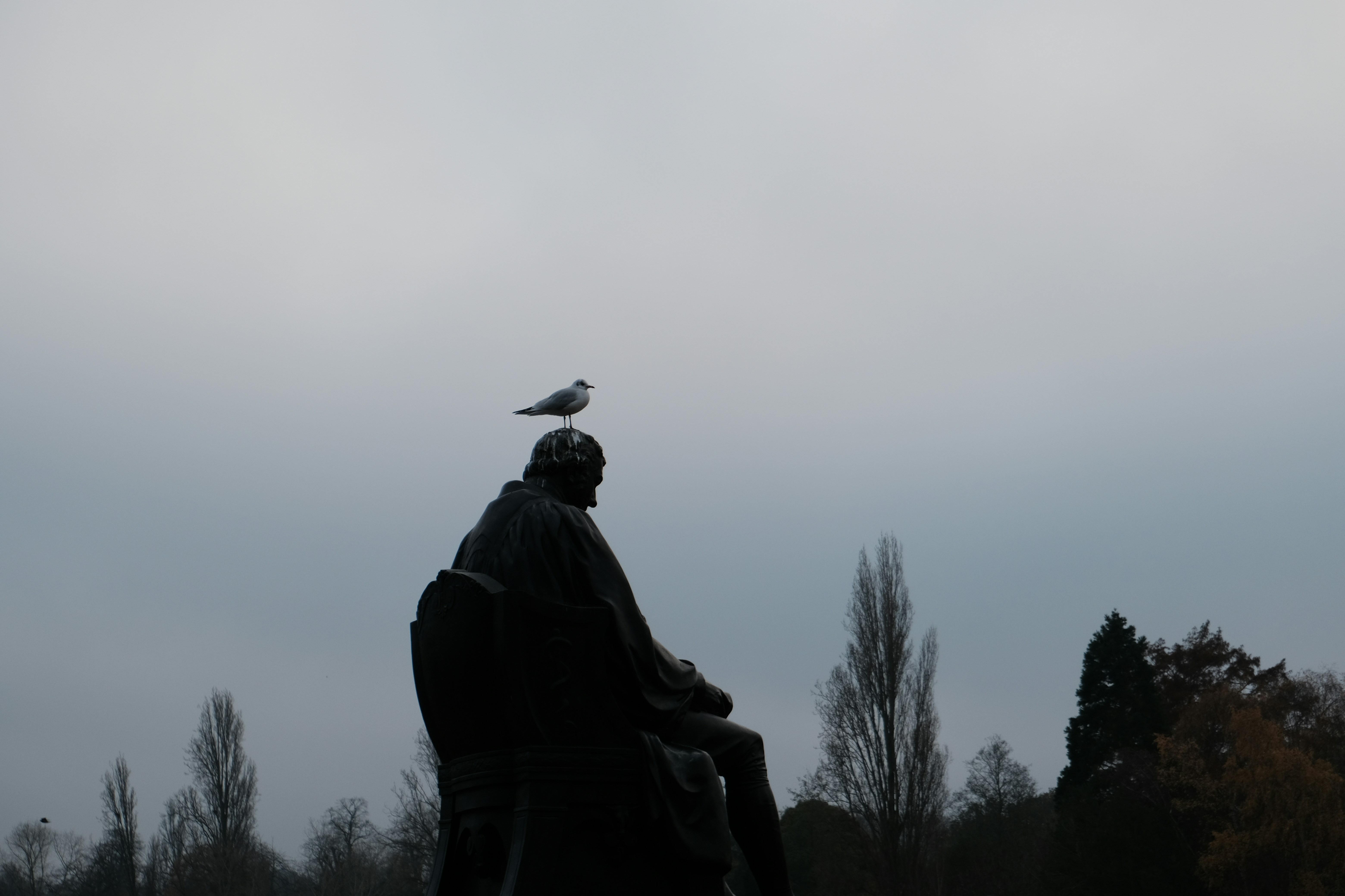 Dusk Sentinel: Crow Perched on a Quiet Monument