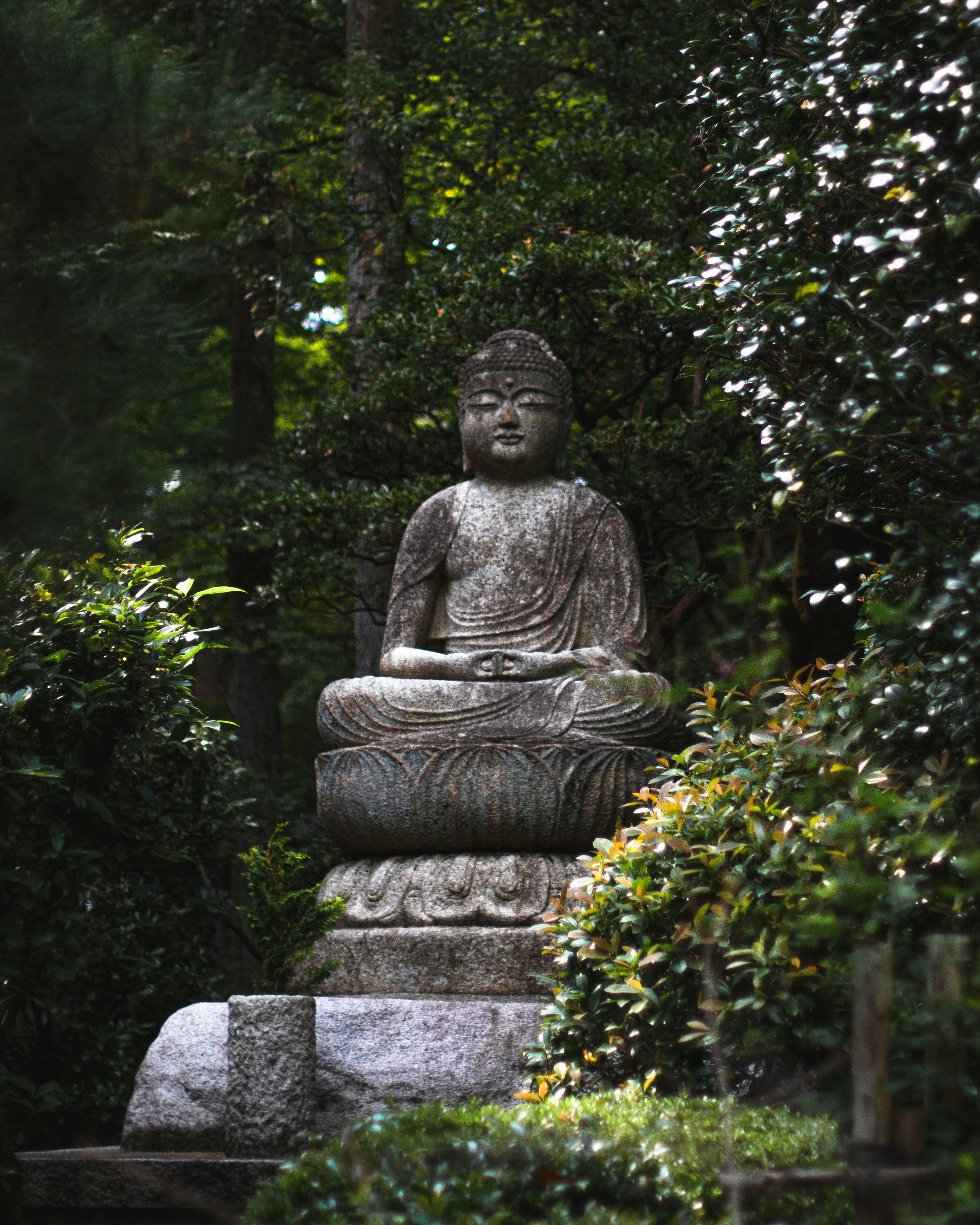 Photo by Alena Lavrova with Canon EOS 7D