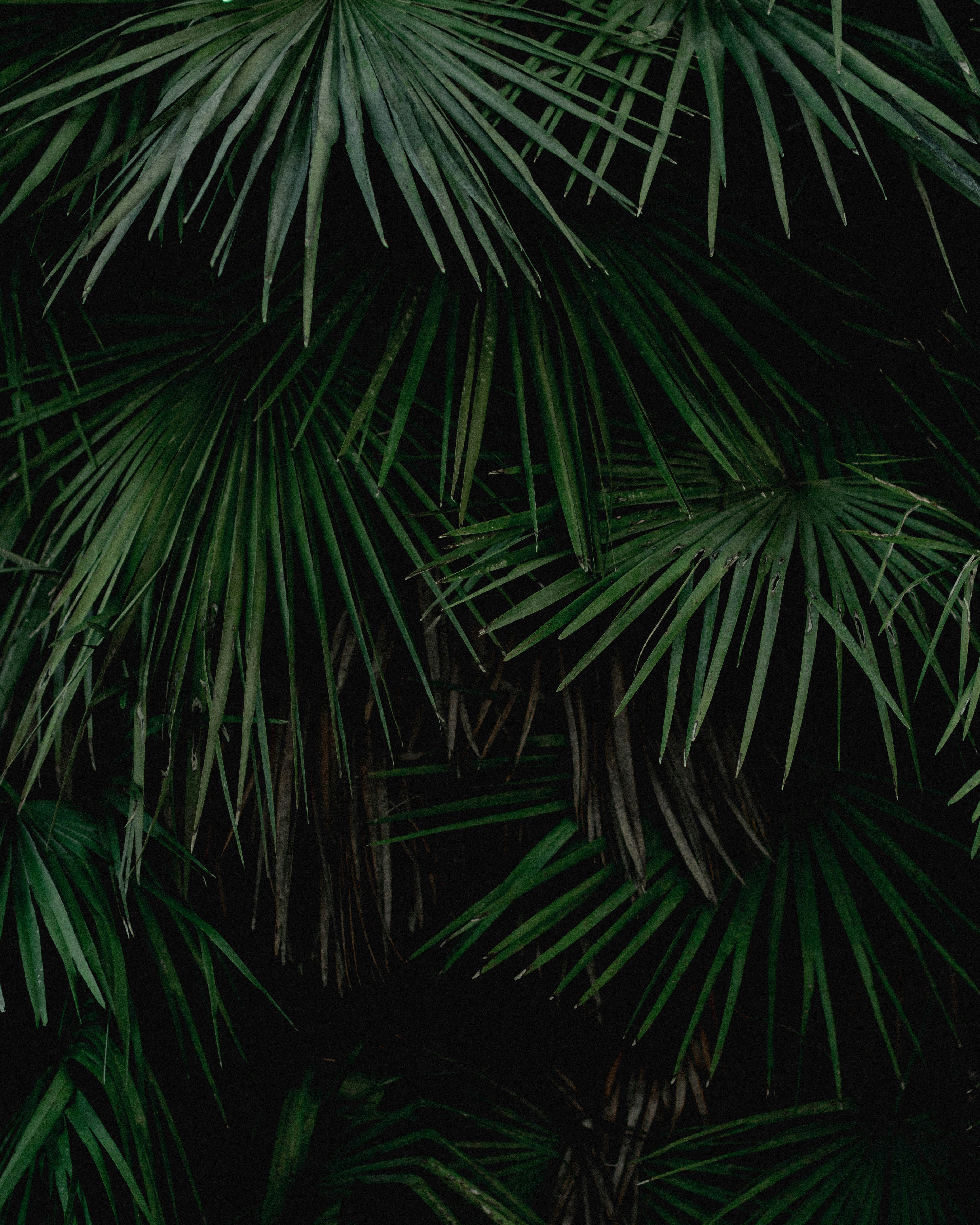 Photo by Bennie Bates with Nikon D500