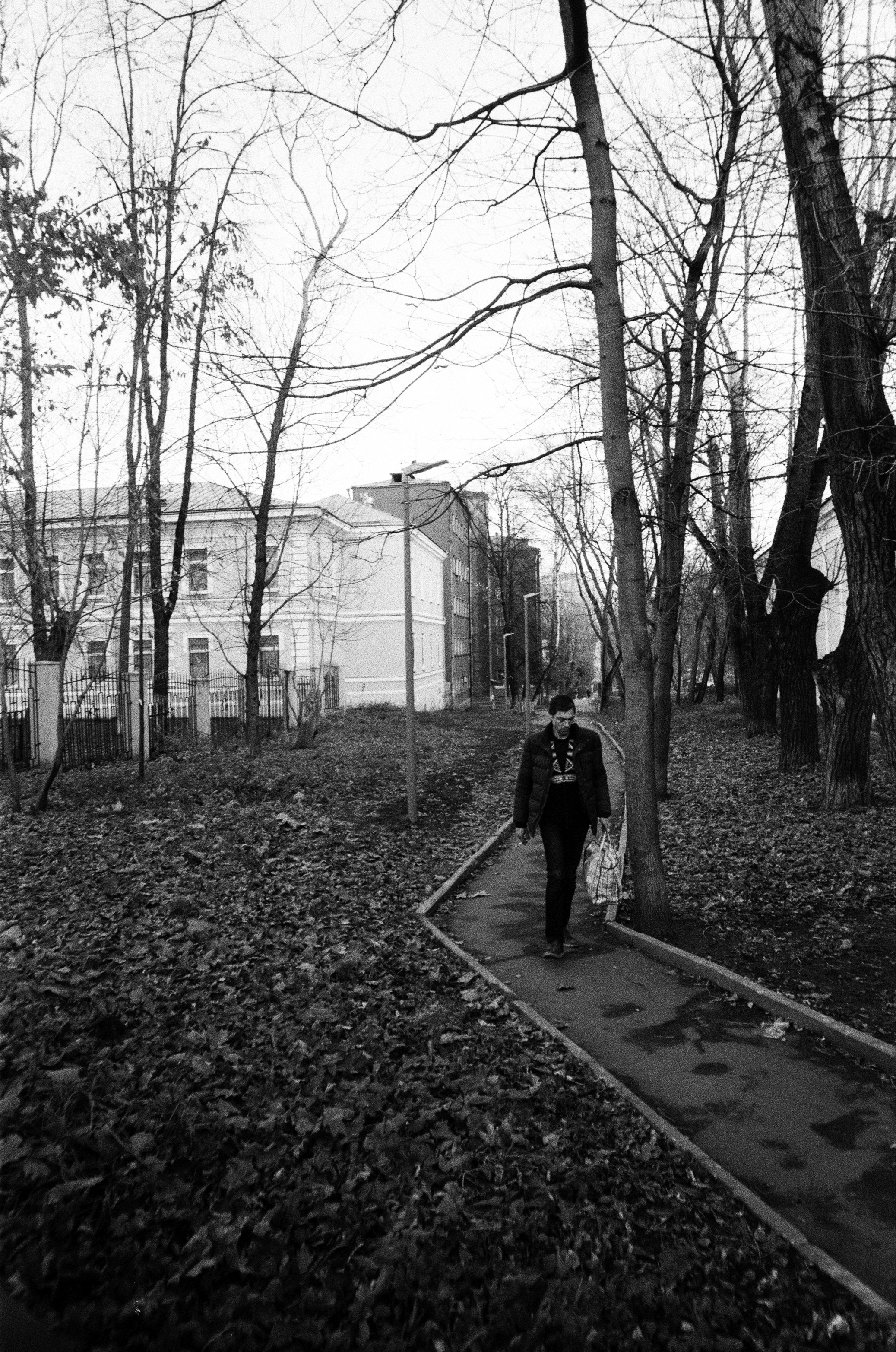 Solitary Stroll Along a Leaf-Strewn Park Path