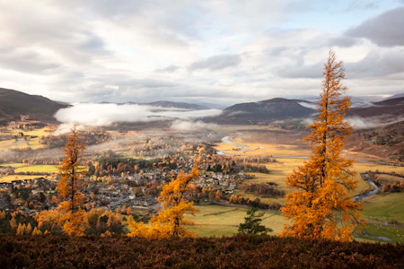 Amber Pines Overlook: A Valley Village Woven with Autumn Mist