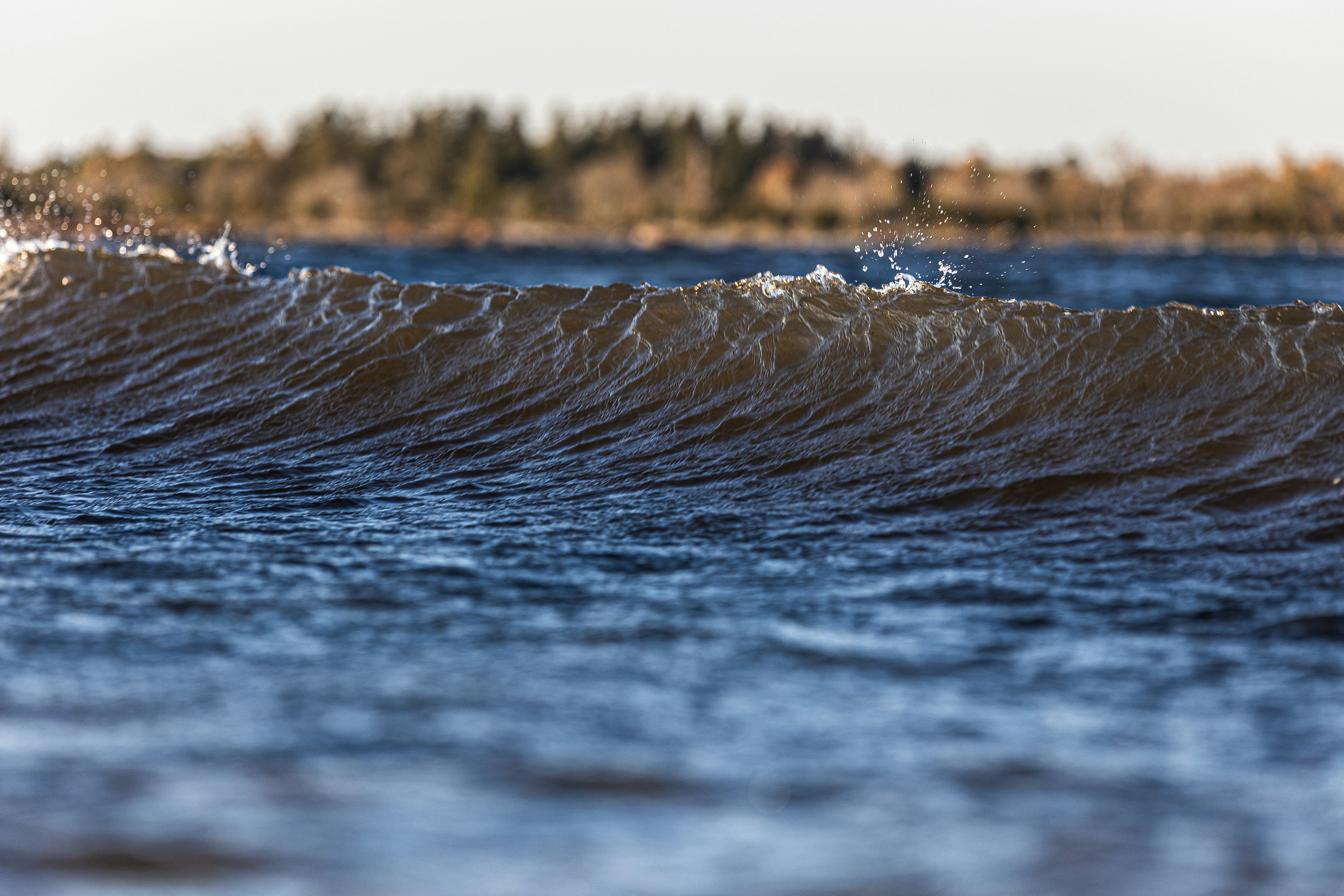 Breaking Crest at the Shore: A Quiet Ridge of Blue