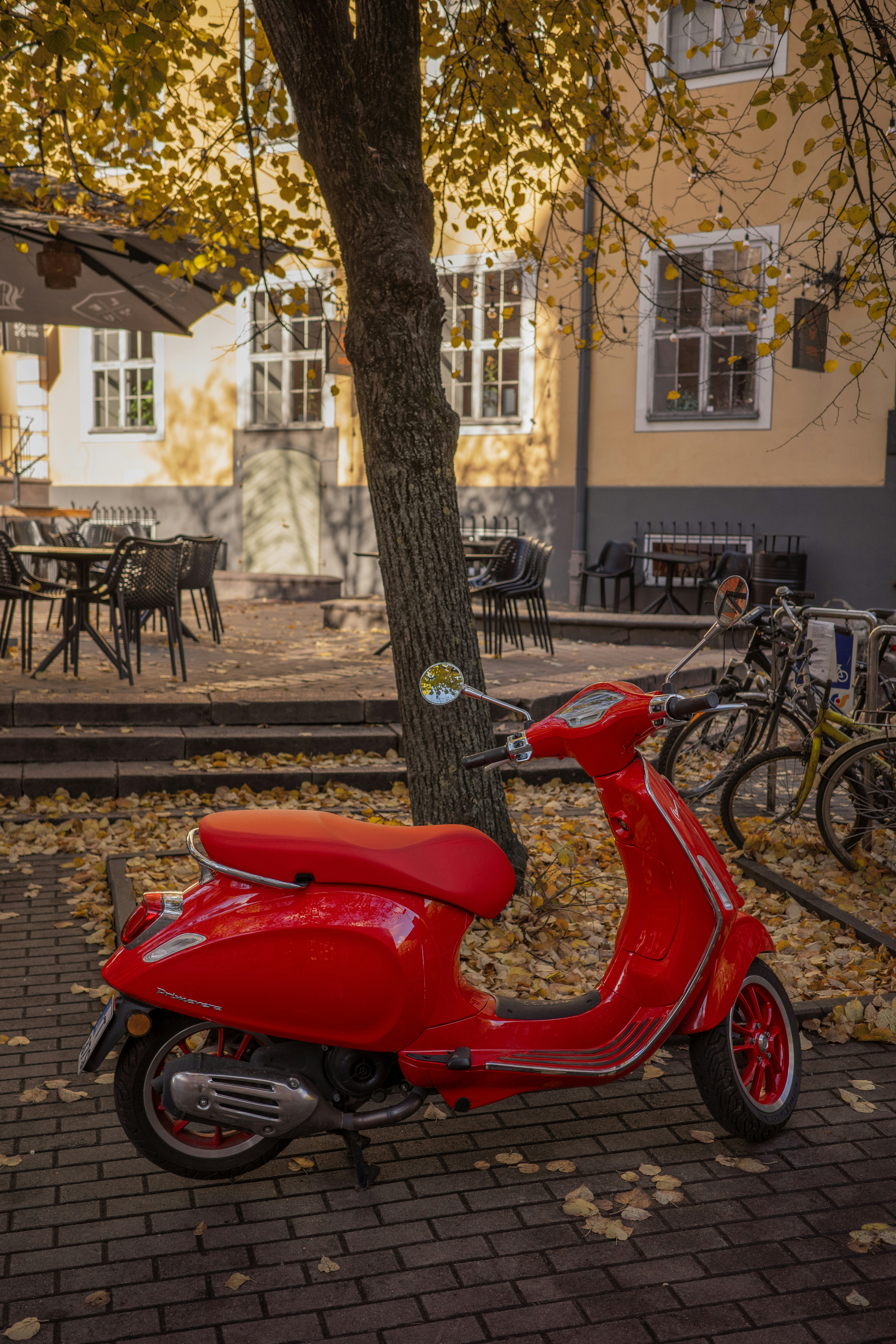 Red Scooter in Autumn Quiet: Sunlit Café Backdrop