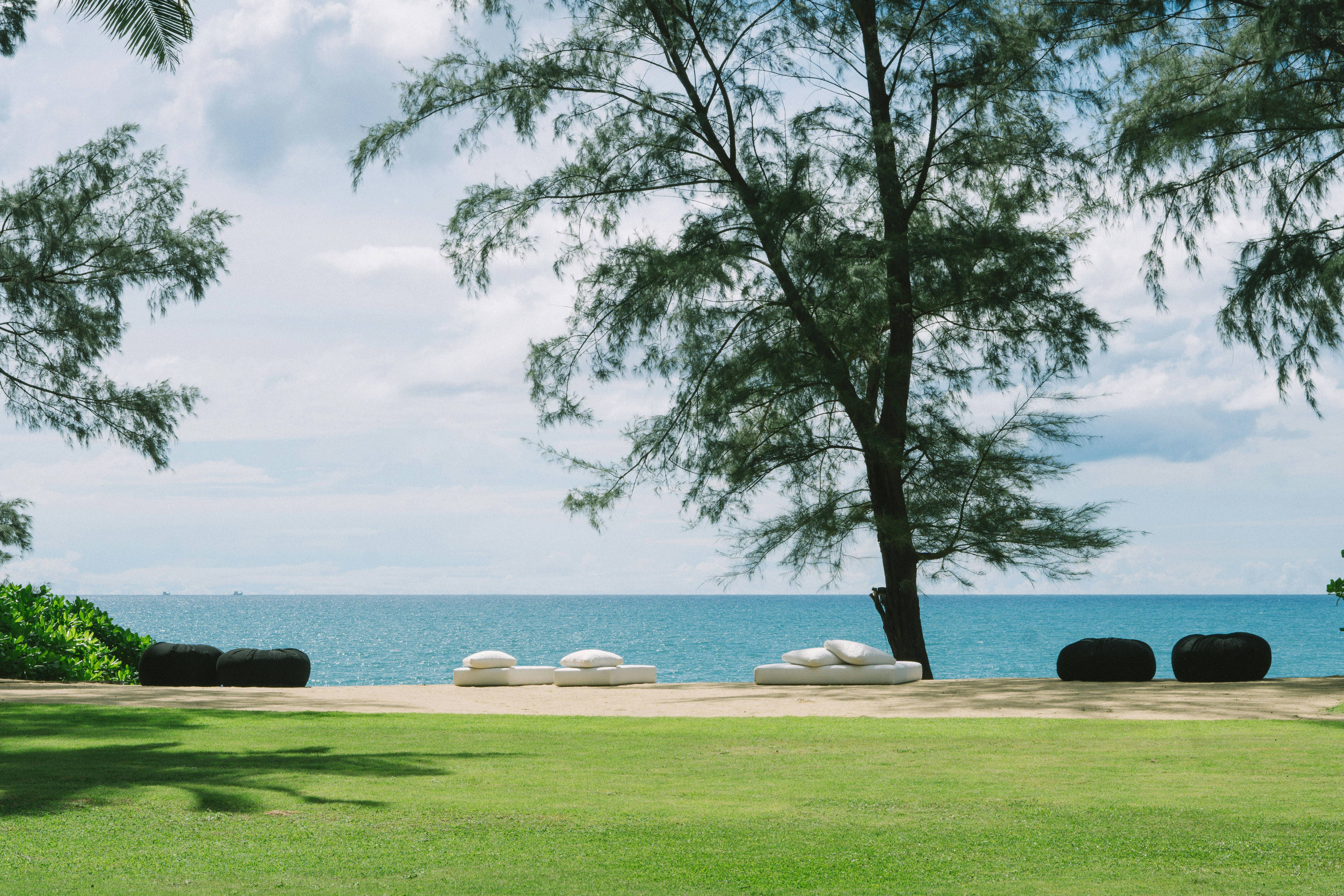 Seaside Lounge Row: Cushions Repose Along the Green Edge of the Ocean