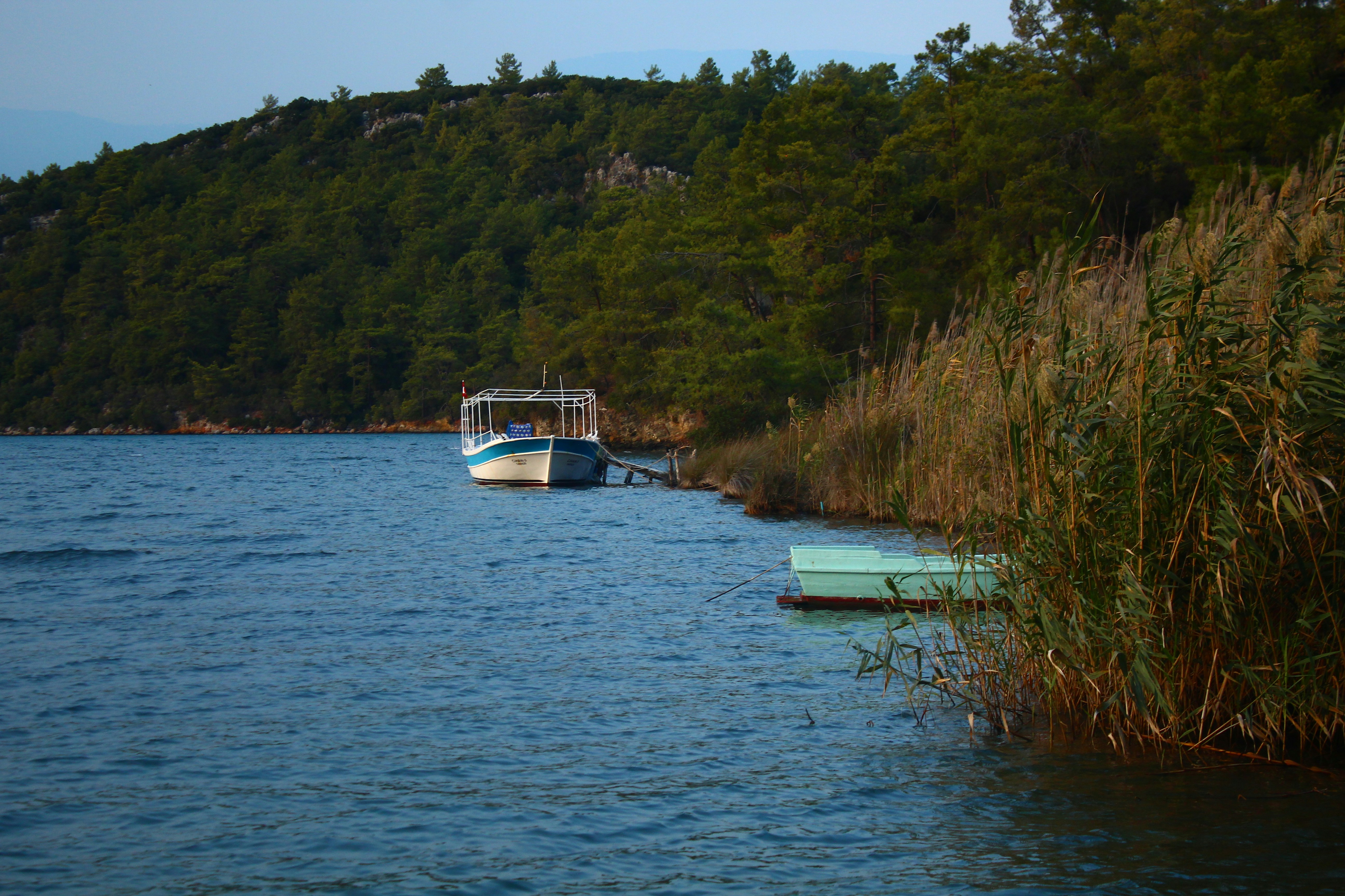 White Boat at the Lake's Quiet Margin