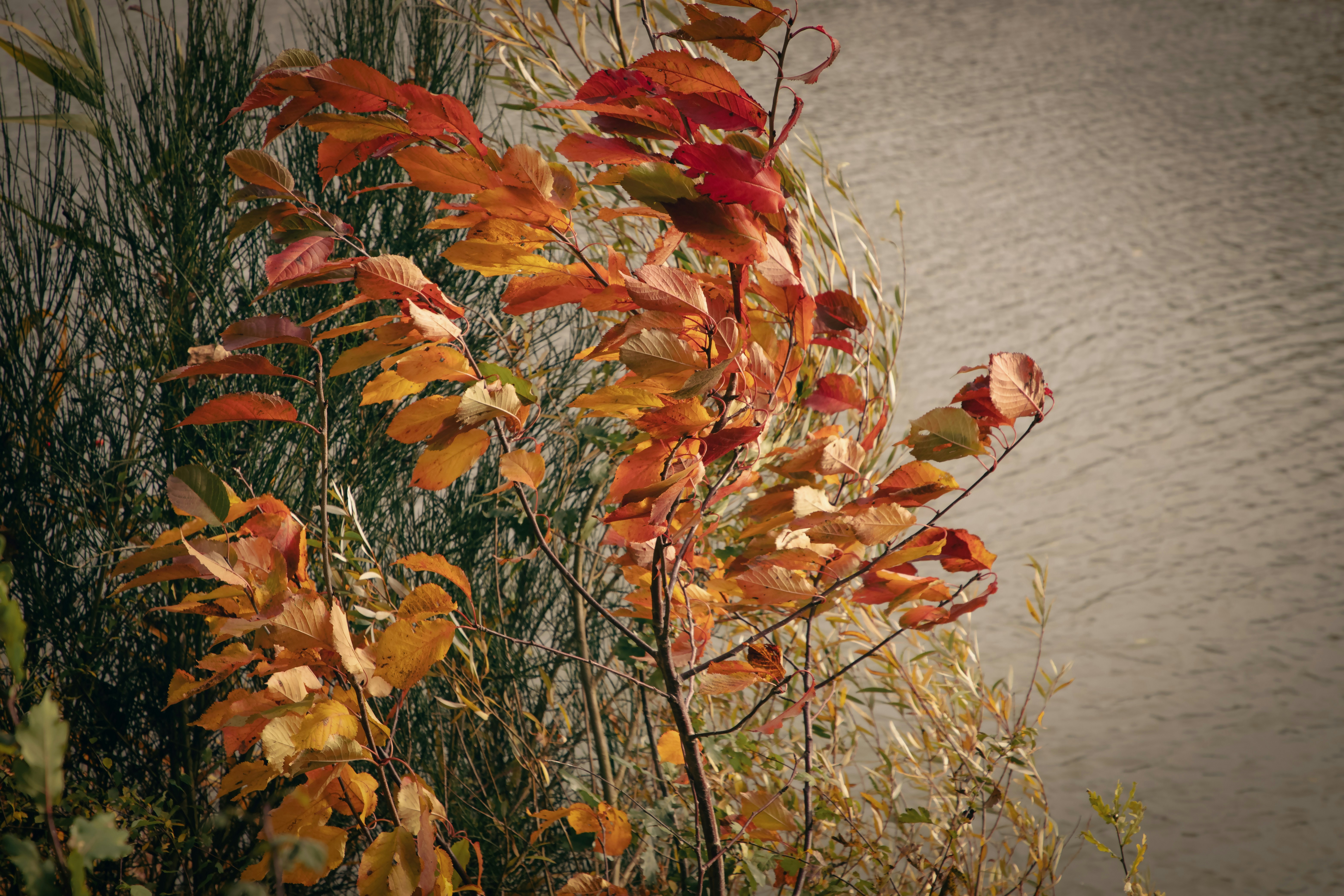 Photo by MARIOLA GROBELSKA with Canon EOS 6D Mark II