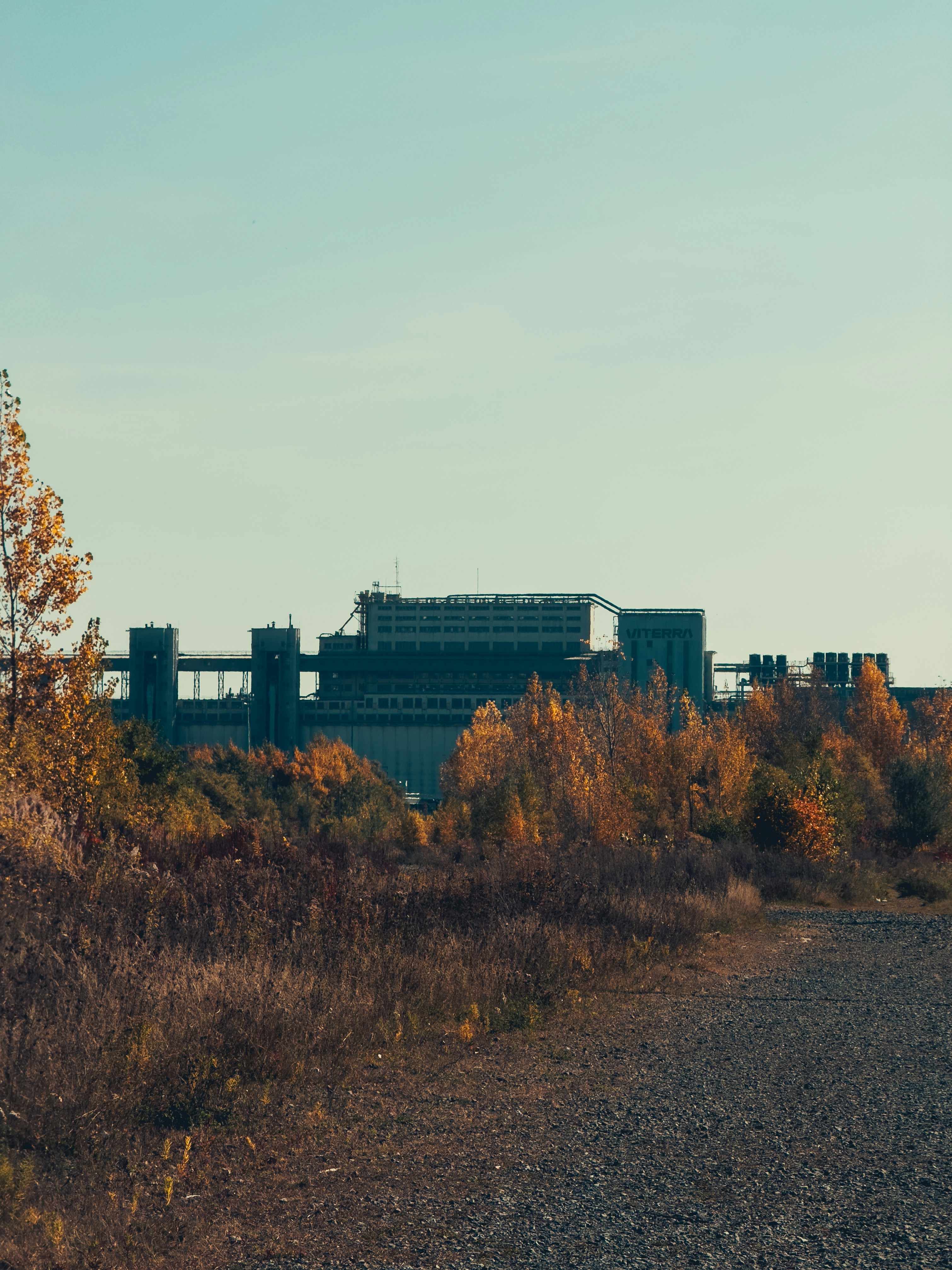 Autumn Horizon: The Quiet Factory Framed by Golden Trees