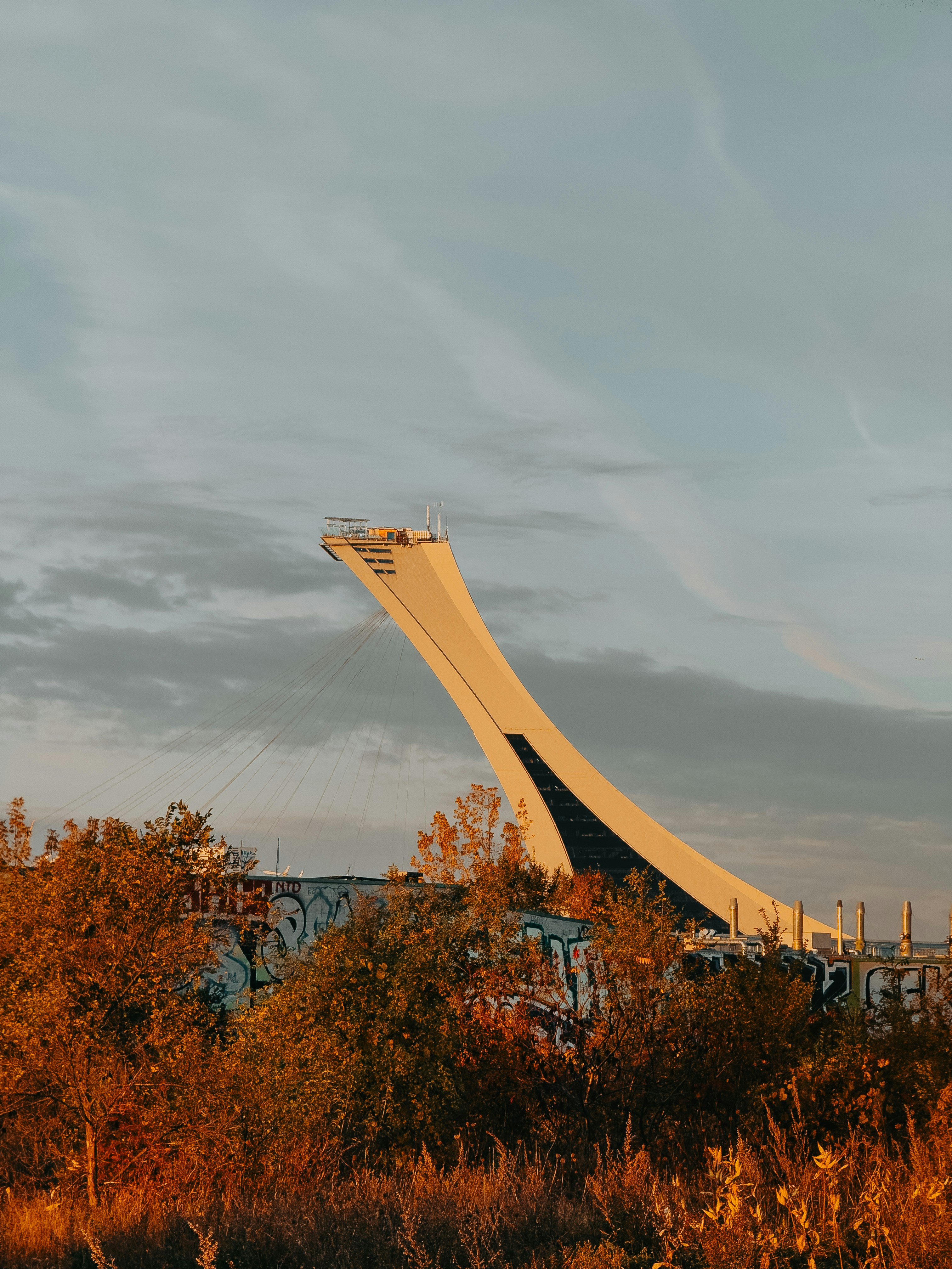 Golden Arc Over Graffitied Wall: Sunset Light on a Curved Bridge