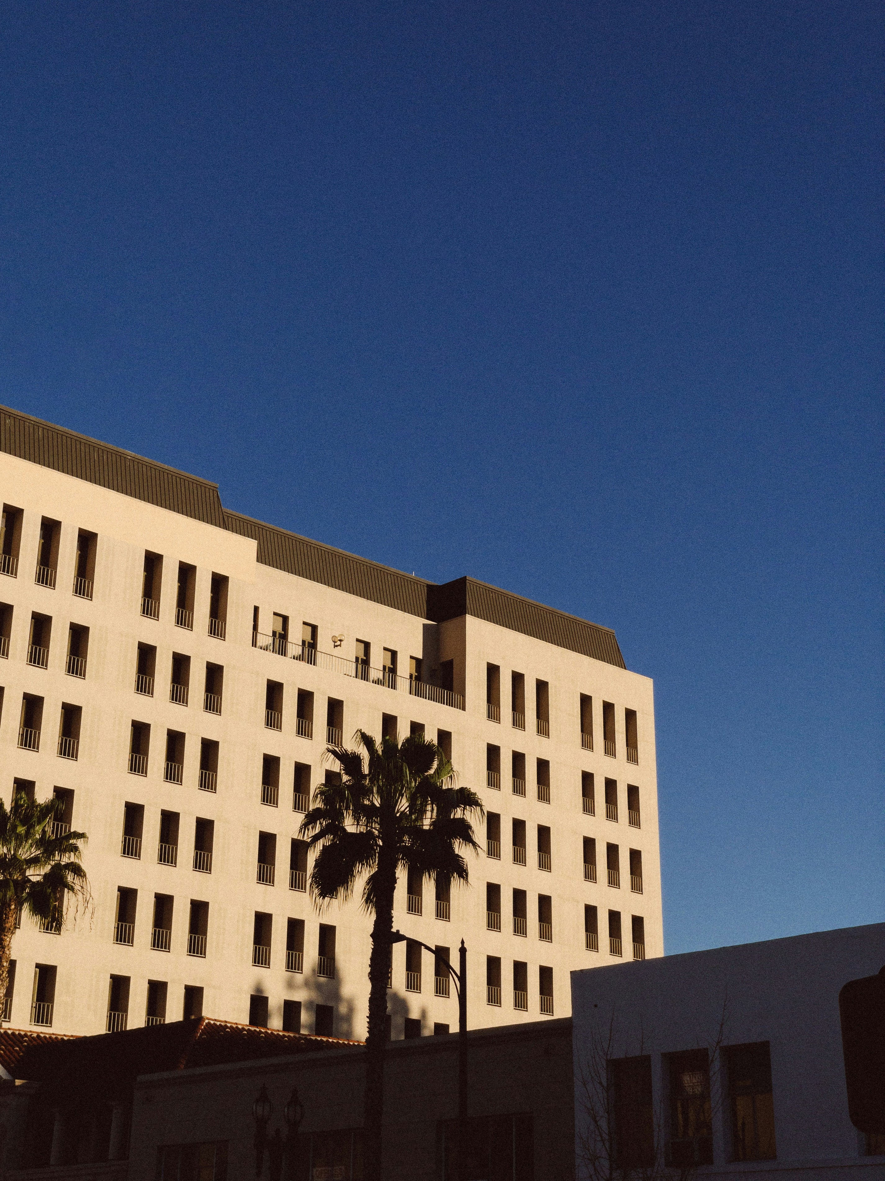 Photo by Natasha Navasardian with Apple iPhone 12 Pro