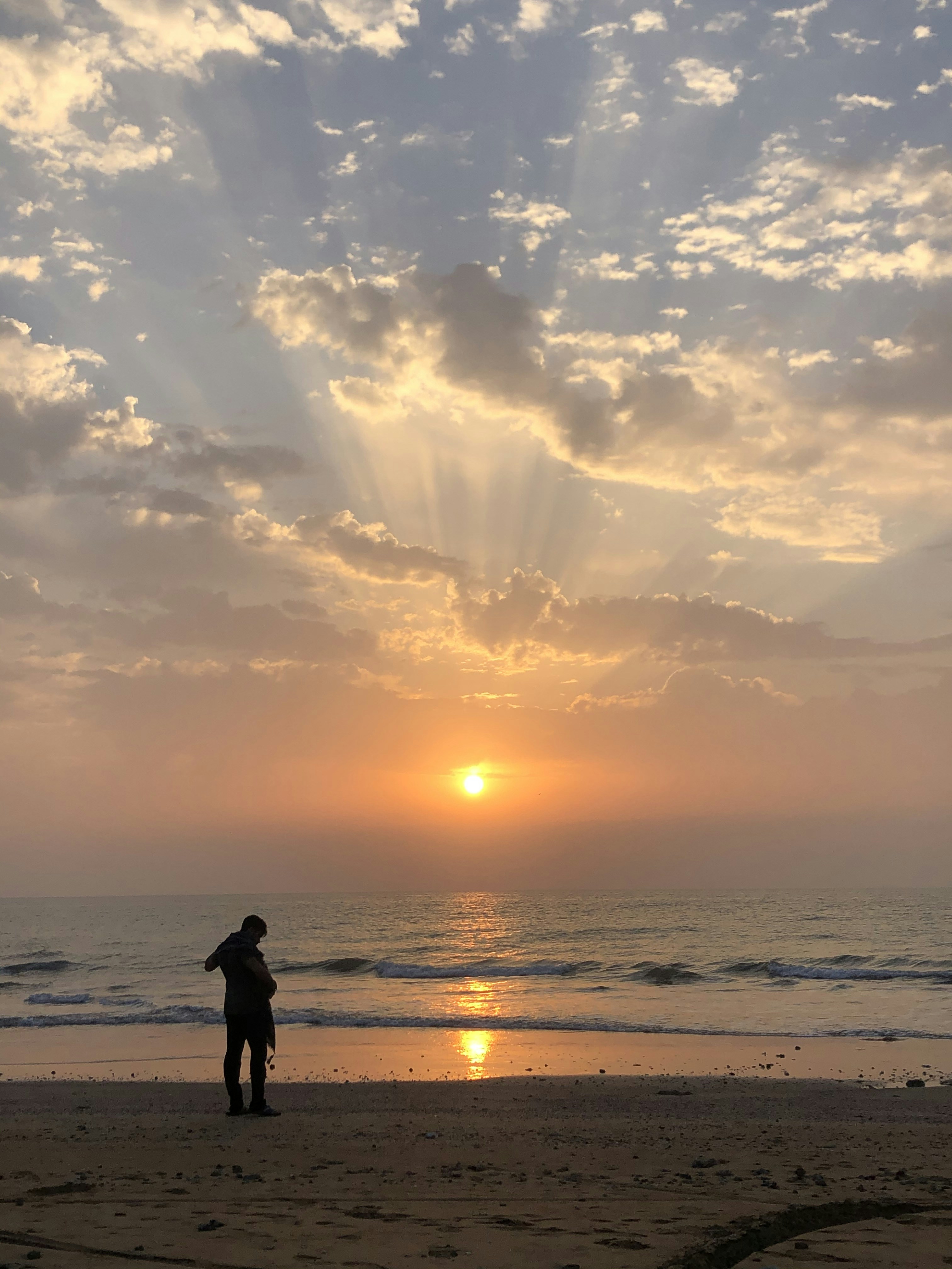 Alireza Ameri (@alireza_ameri) | Unsplash Photo Community